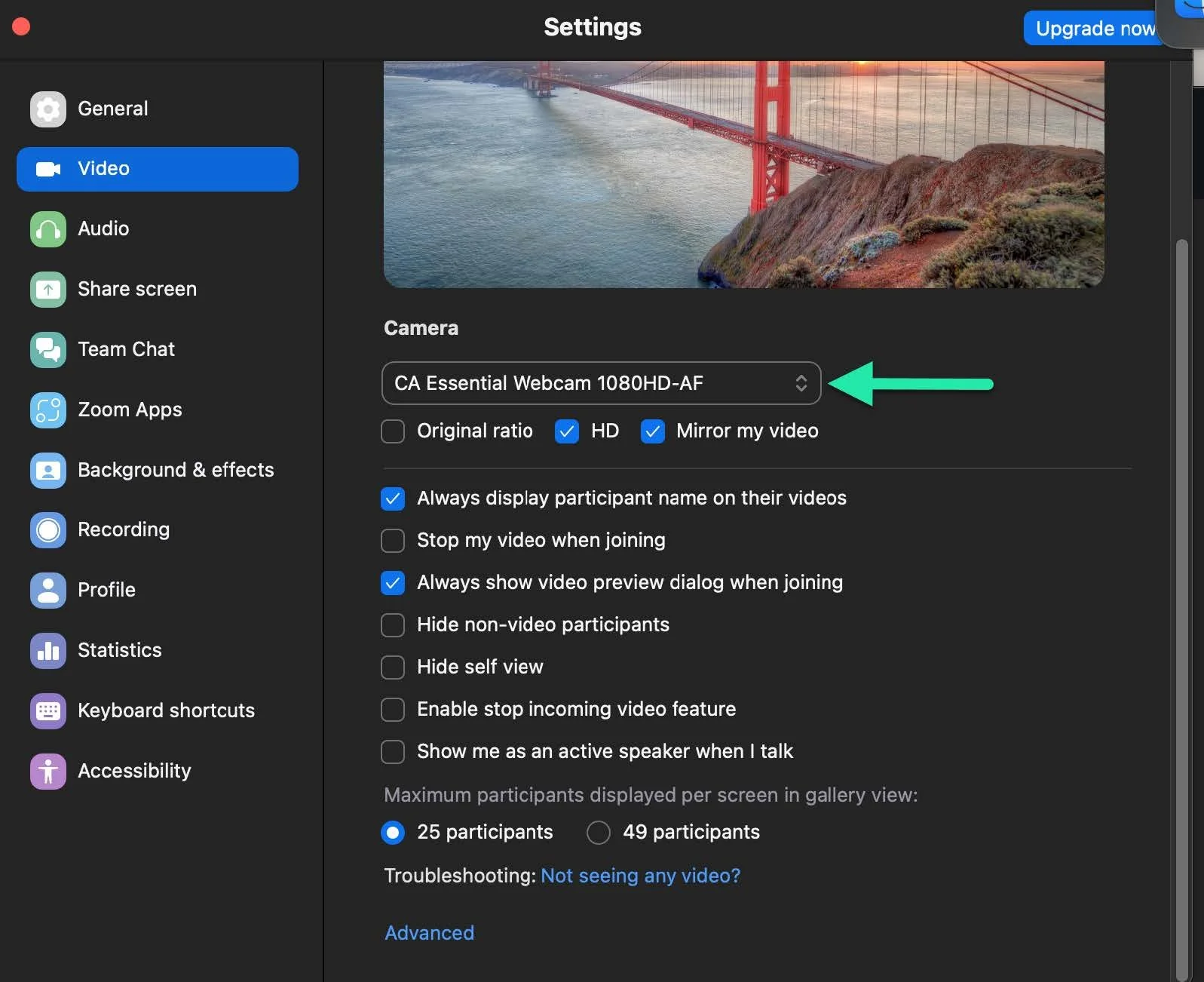 How to Use Zoom on macOS Sequoia — Cyber Acoustics