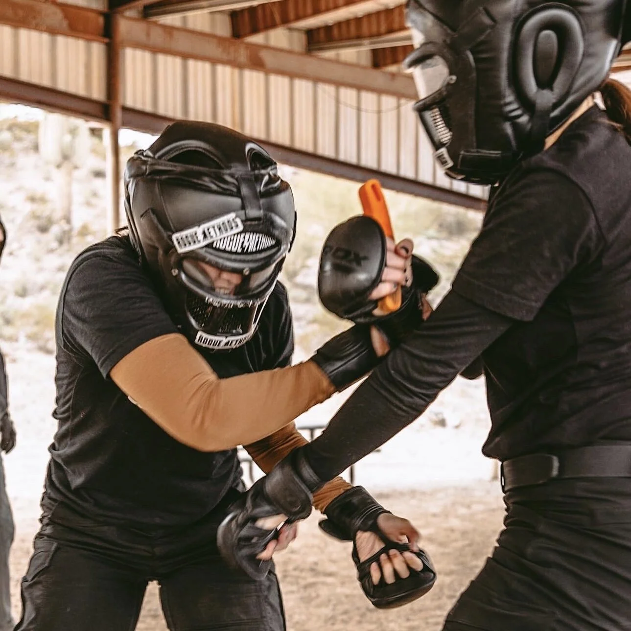 Rogue Methods Training — Rogue Methods