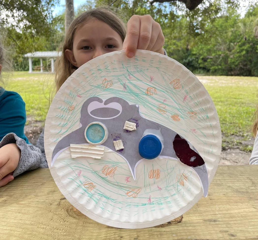 The Florida Manta Project — Marine Megafauna Foundation
