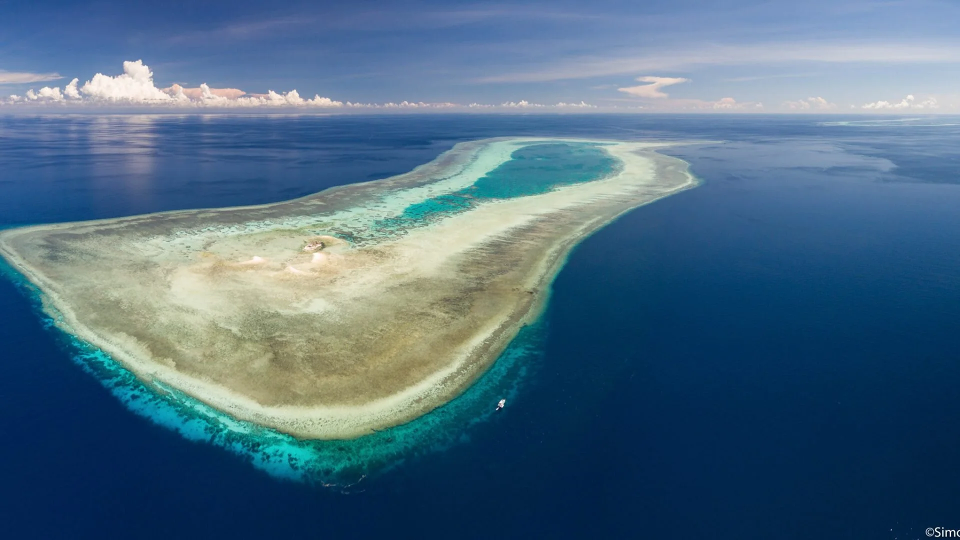 Record numbers of reef sharks found in Philippine Marine Protected Area ...