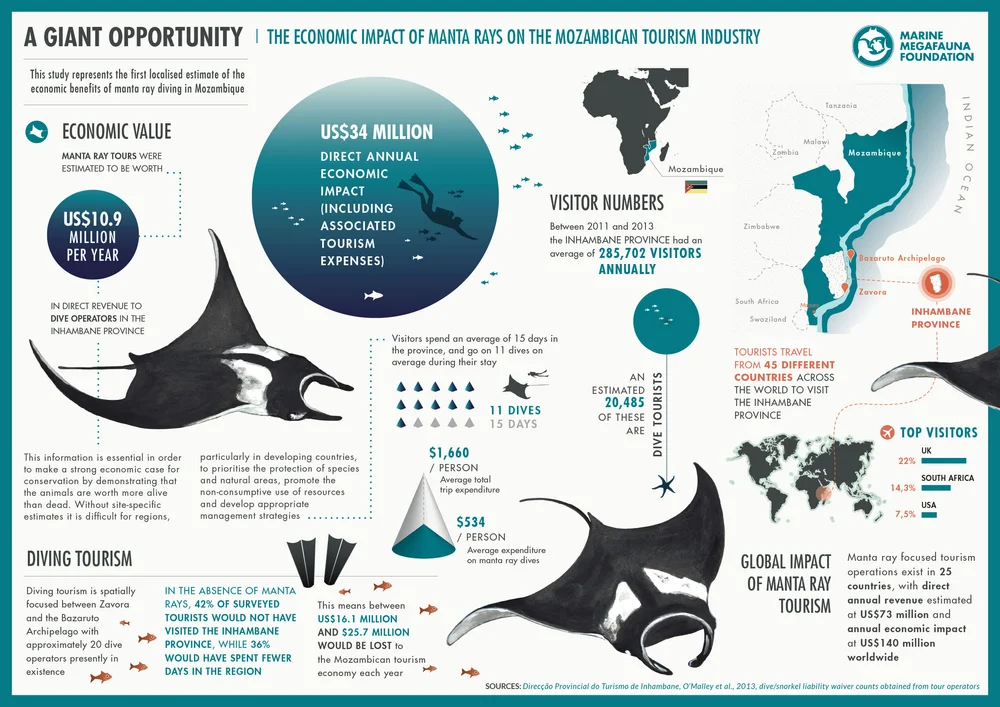 Mozambique Manta & Devil Ray Research Project — Marine Megafauna Foundation