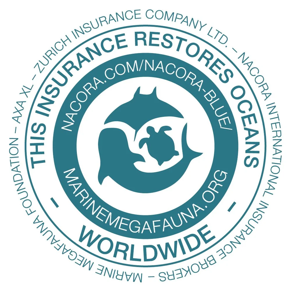 Corporate Partnerships — Marine Megafauna Foundation