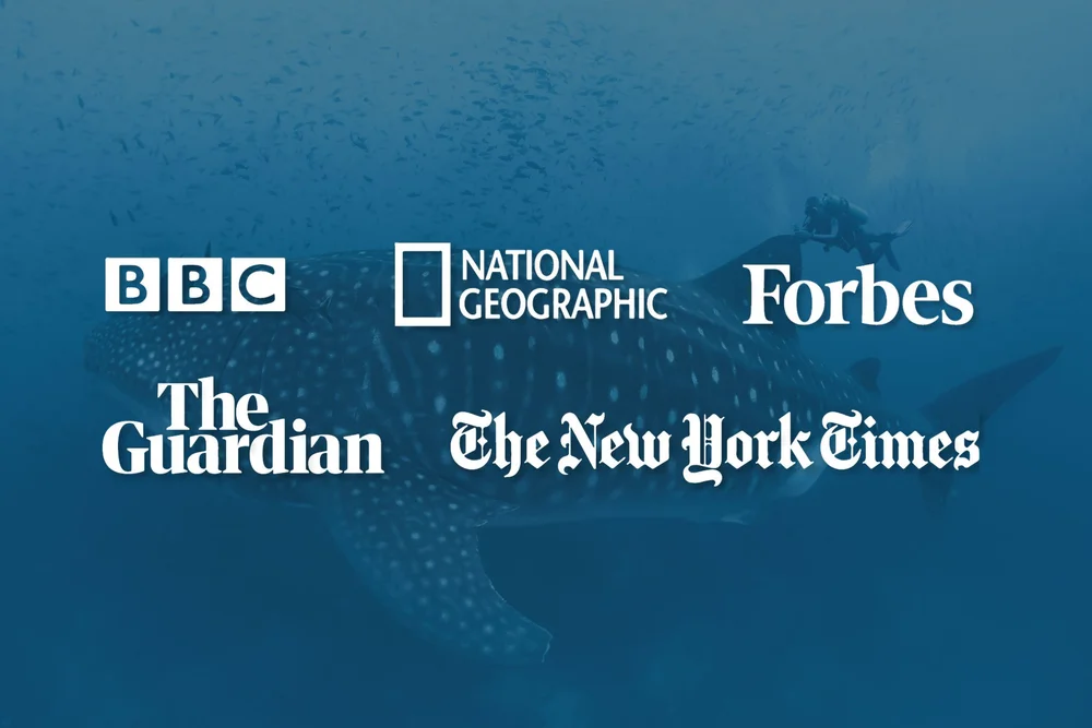 Global Whale Shark Research & Conservation Program — Marine Megafauna ...