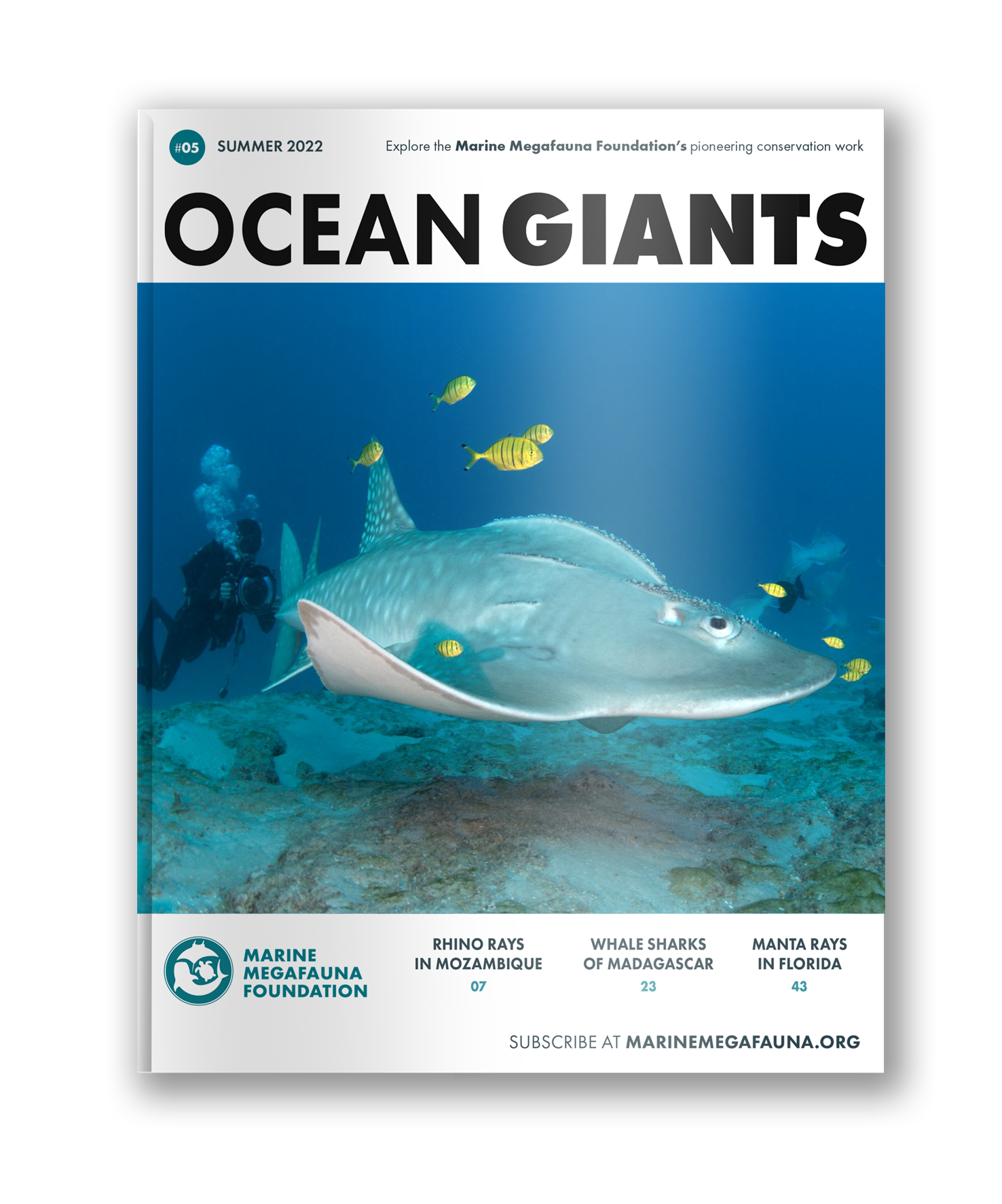 Marine Megafauna Foundation