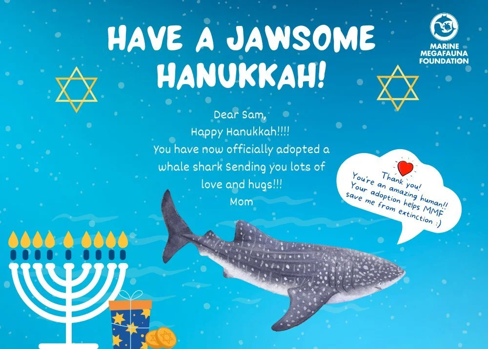 Adopt a Whale Shark - A Whale Shark Adoption is the perfect Gift for ...