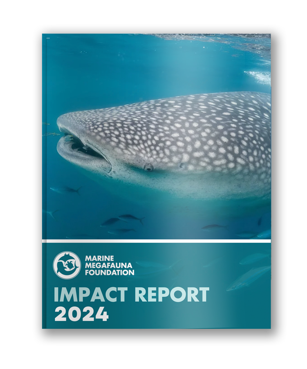 Human Threats on Sharks & Rays: Climate Change, Overfishing, Pollution ...