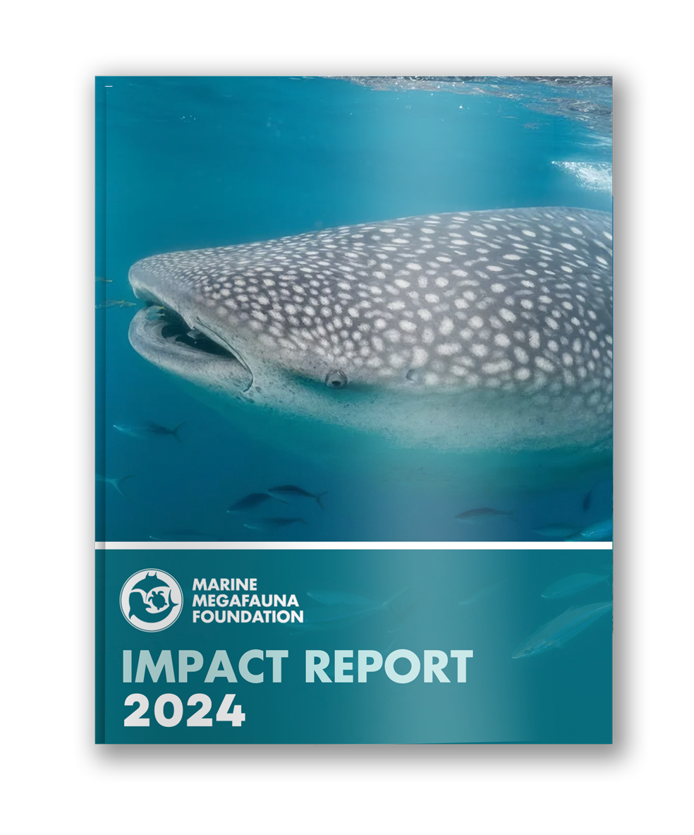 Impact Report Marine Megafauna Foundation Impact Report Marine Megafauna Foundation