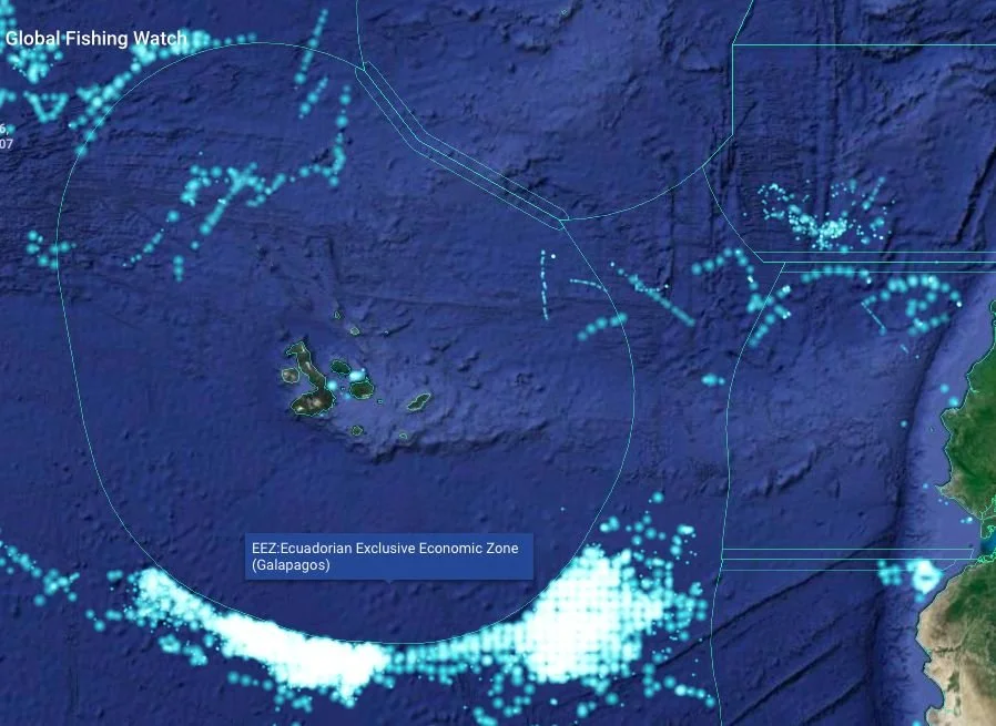 BREAKING: The global operations behind China’s massive fishing fleets ...