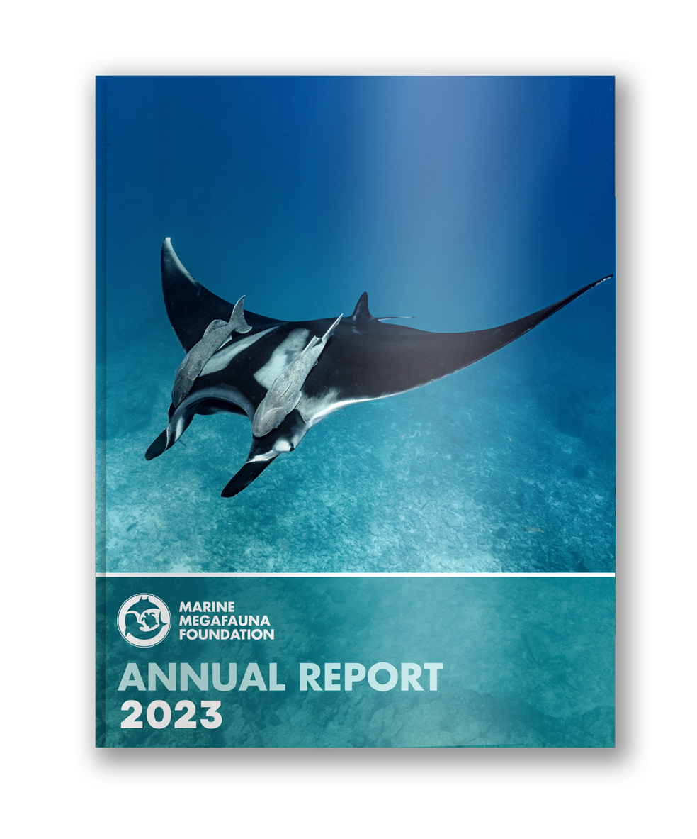 Human Threats on Sharks & Rays: Climate Change, Overfishing, Pollution ...