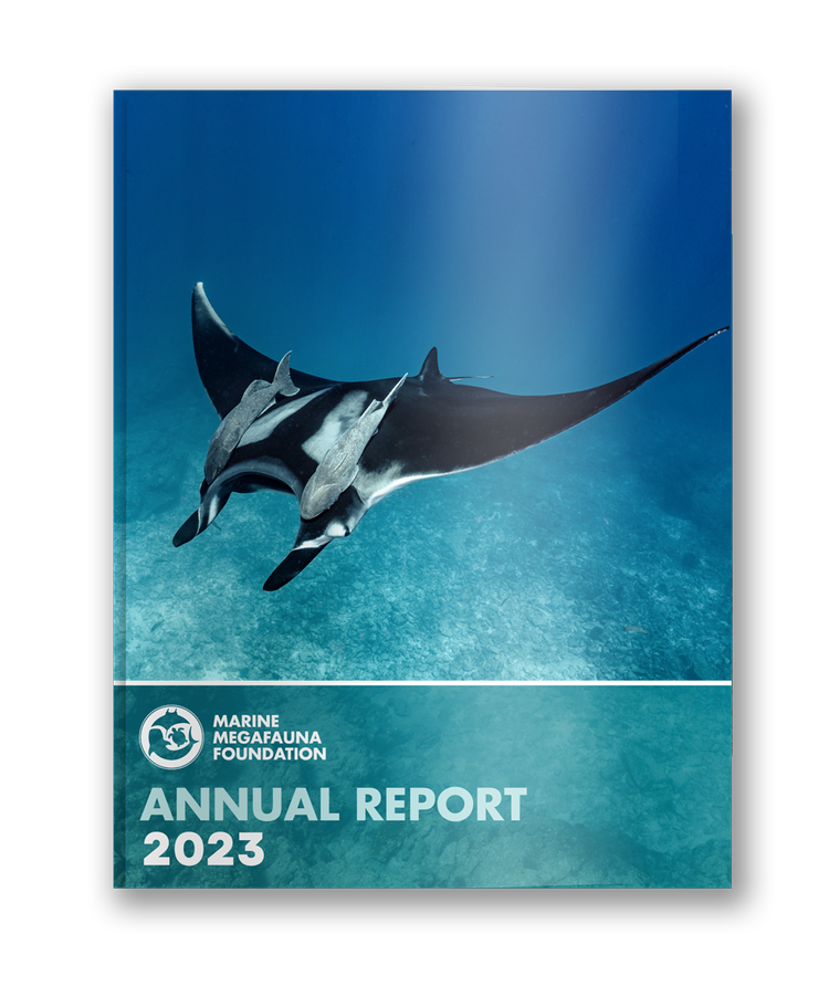 Human Threats on Sharks & Rays: Climate Change, Overfishing, Pollution ...