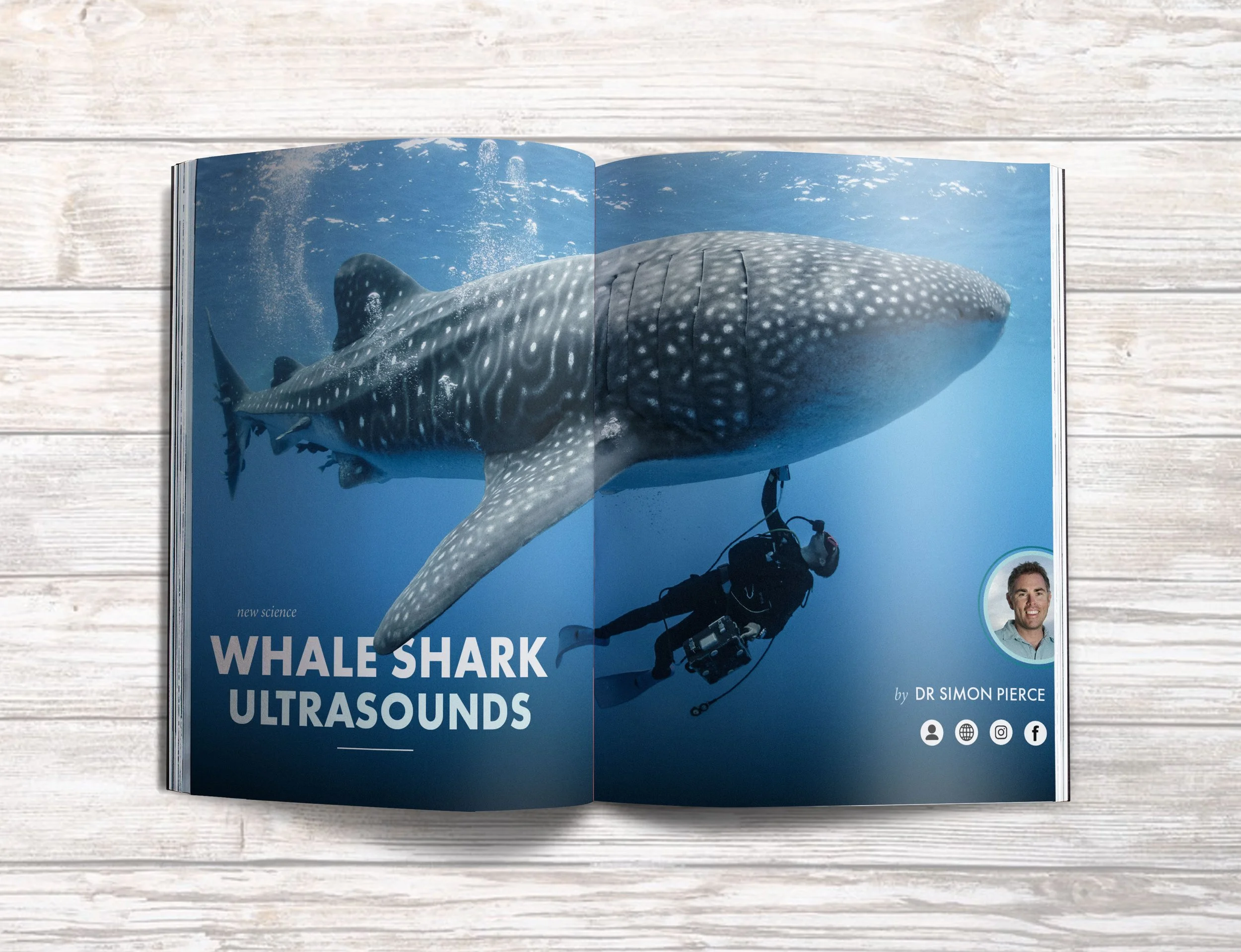 Galapagos Whale Shark Project — Marine Megafauna Foundation