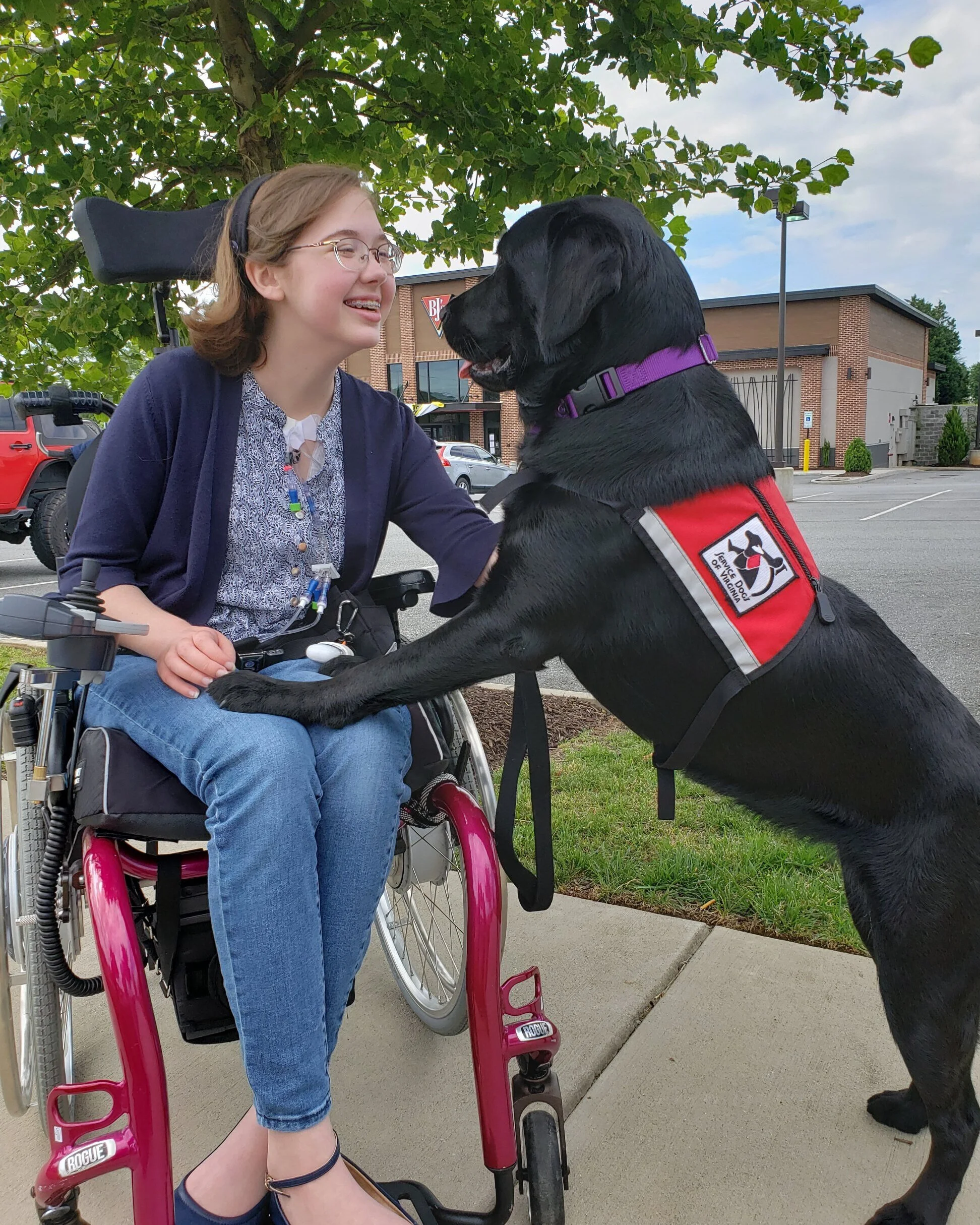 Will The Va Pay For A Service Dog Will The Va Pay For A Service Dog