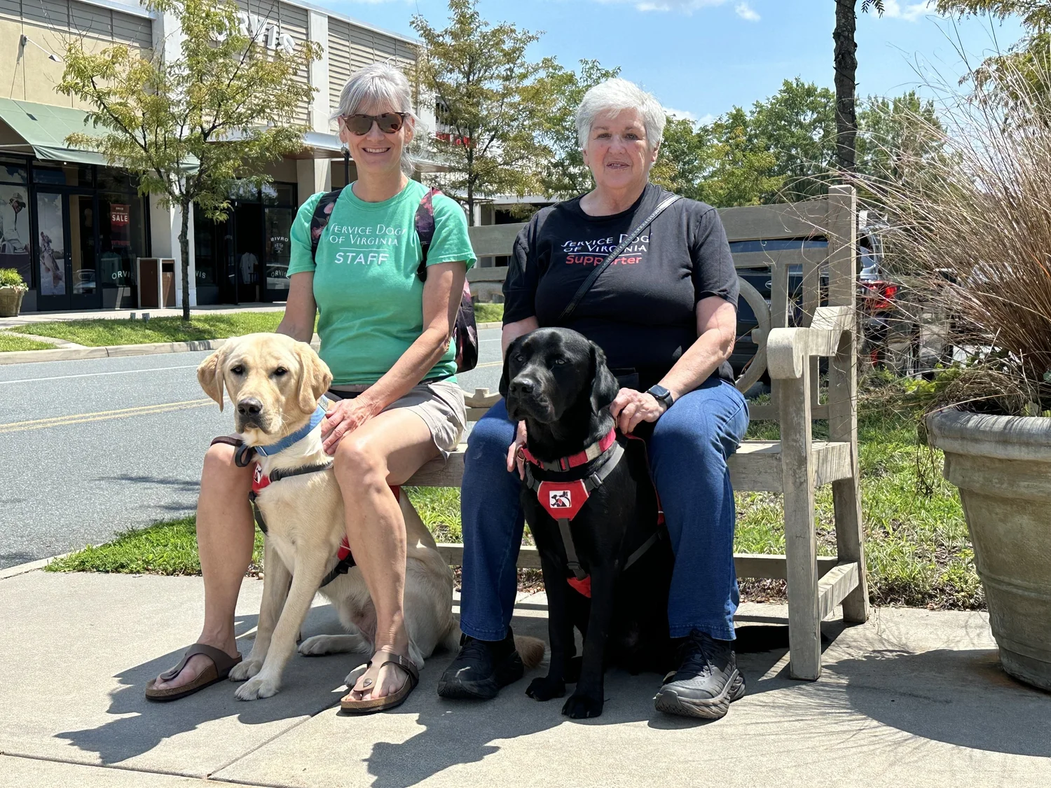 About SDV — Service Dogs of Virginia