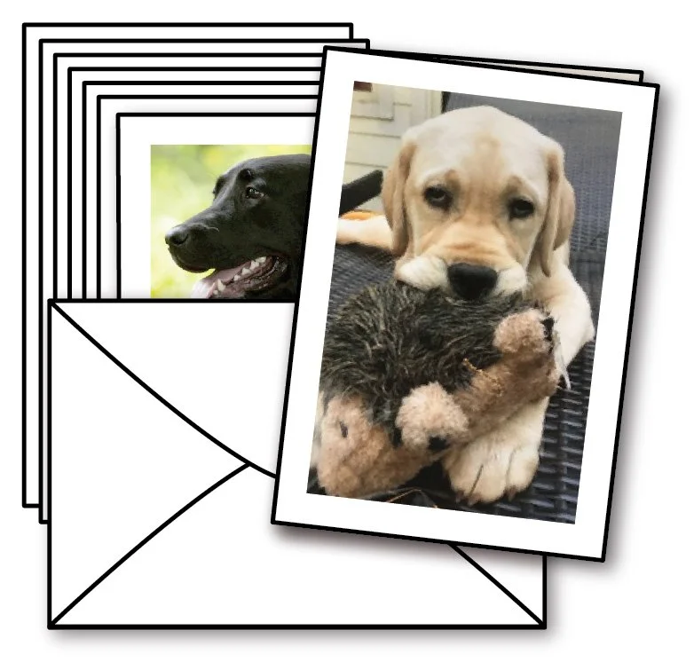 Sponsor a Dog: Round 14 | Secure Your Transaction — Service Dogs of ...