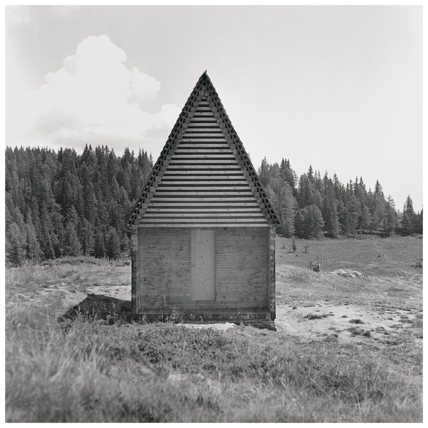 Photographer Andrea Singer