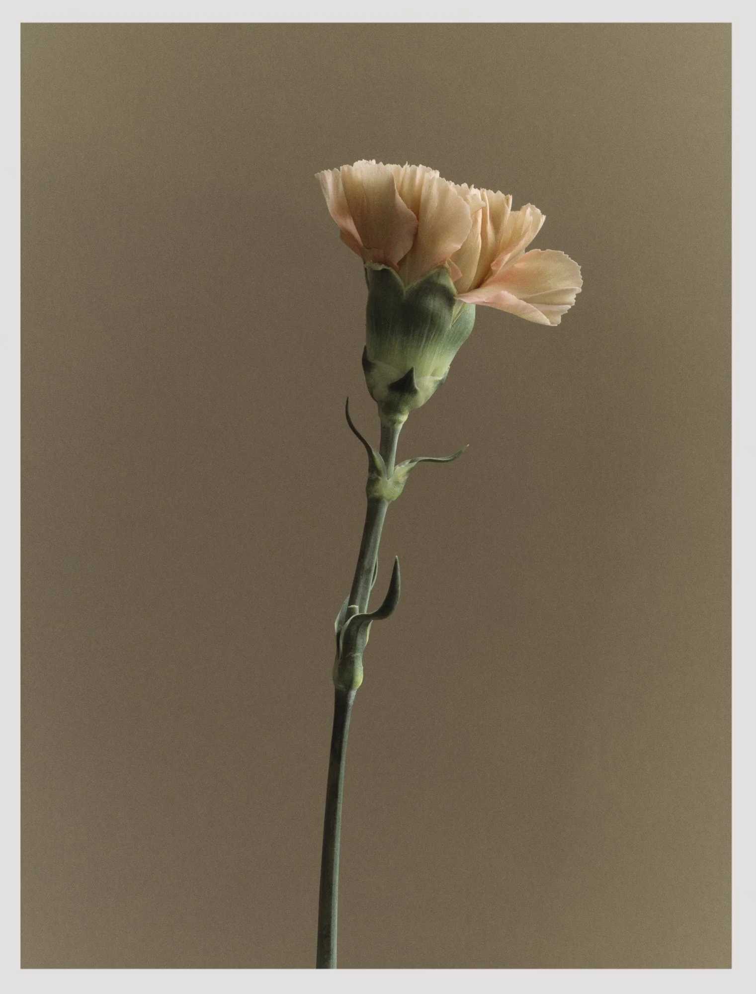 Photographer Andrea Singer