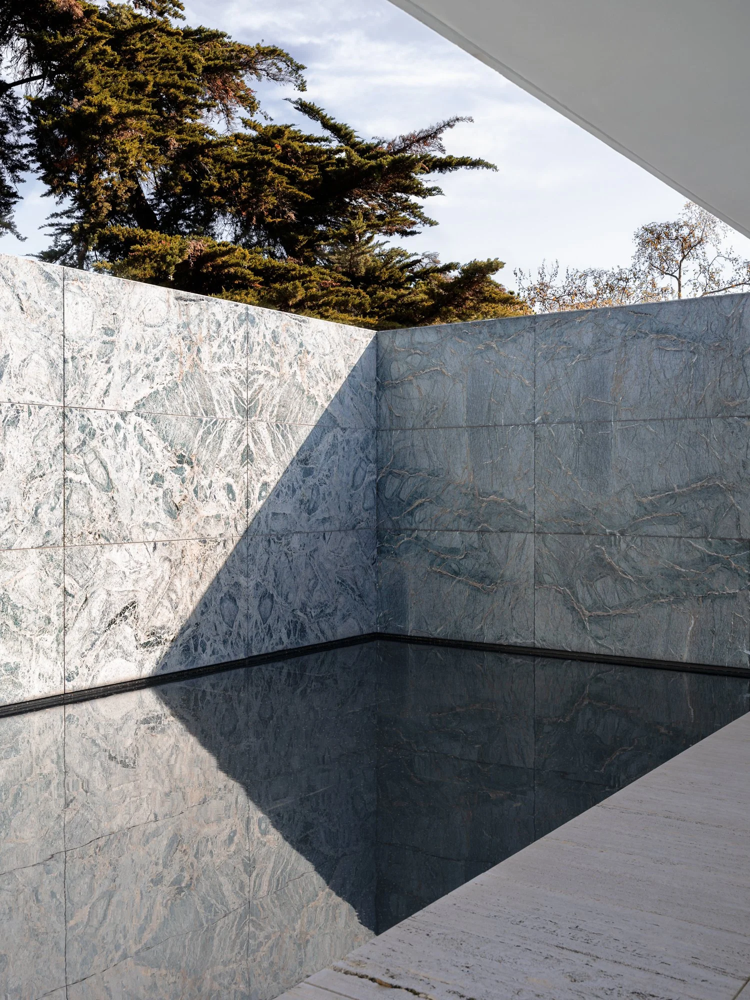 Photographer Andrea Singer