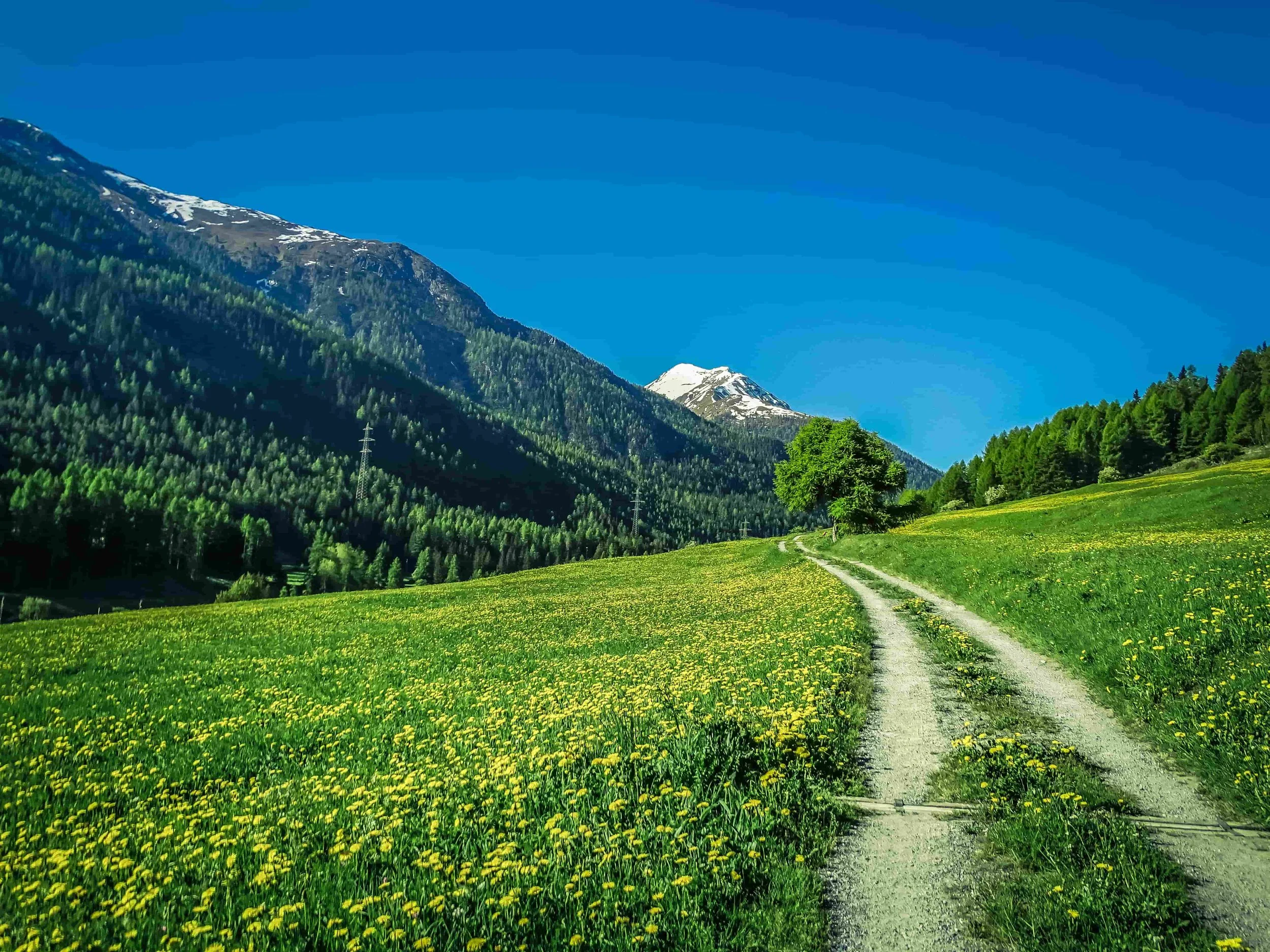 Explore the Engadin Valley & St Moritz - 2023 "Drive & Hike" Holiday