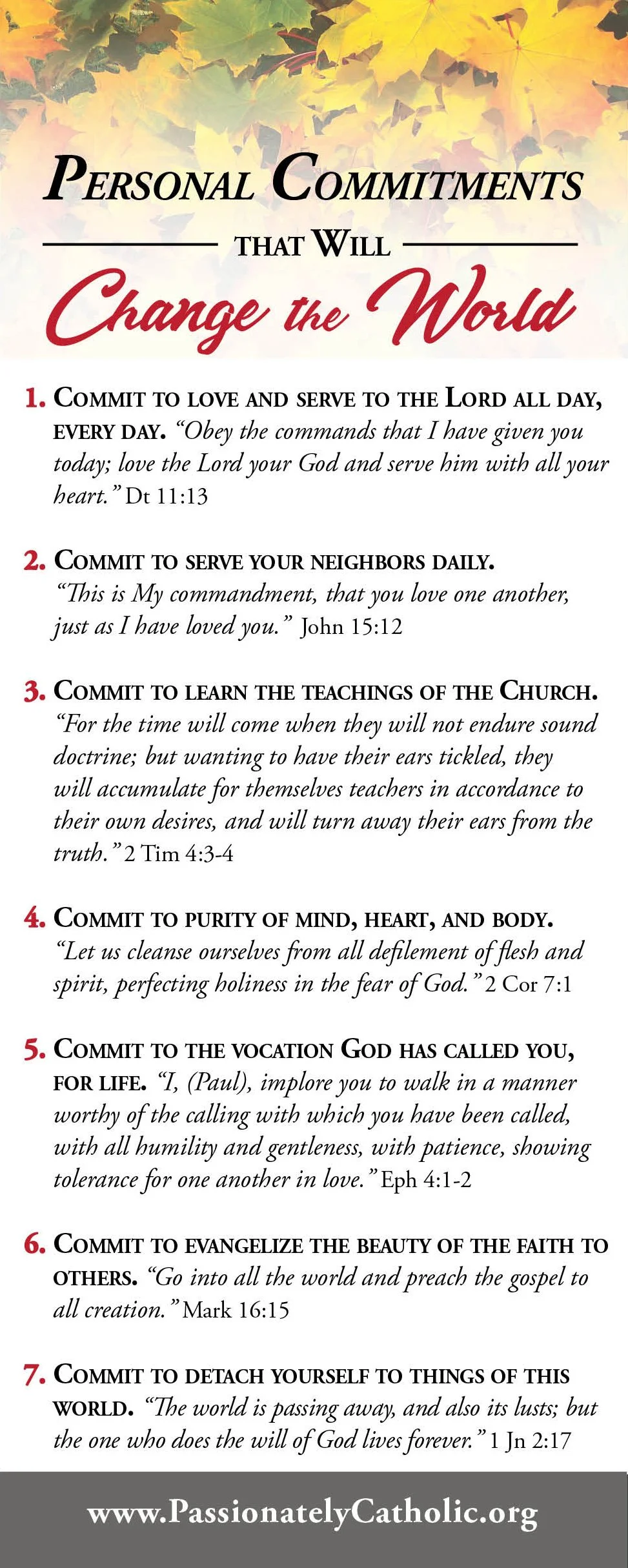 Personal Commitments that Will Change the World — Passionately Catholic