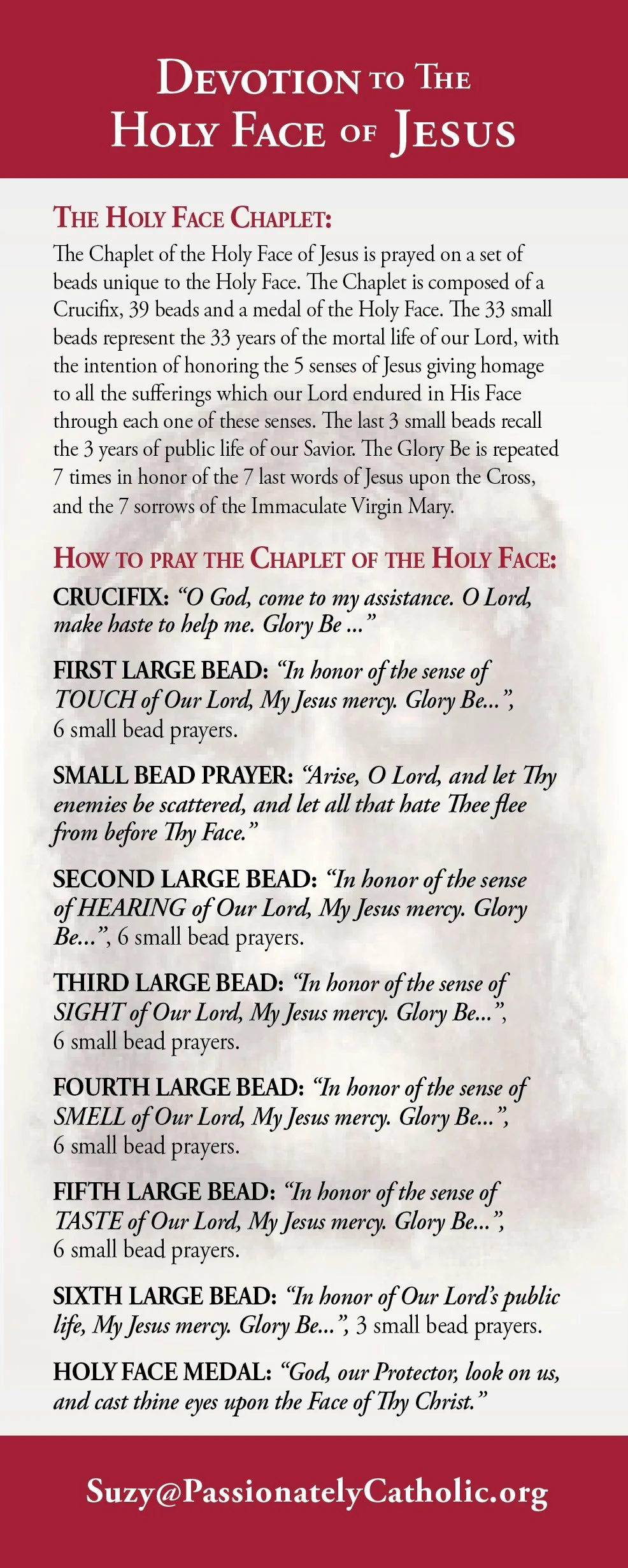 Devotion to the Holy Face of Jesus — Passionately Catholic