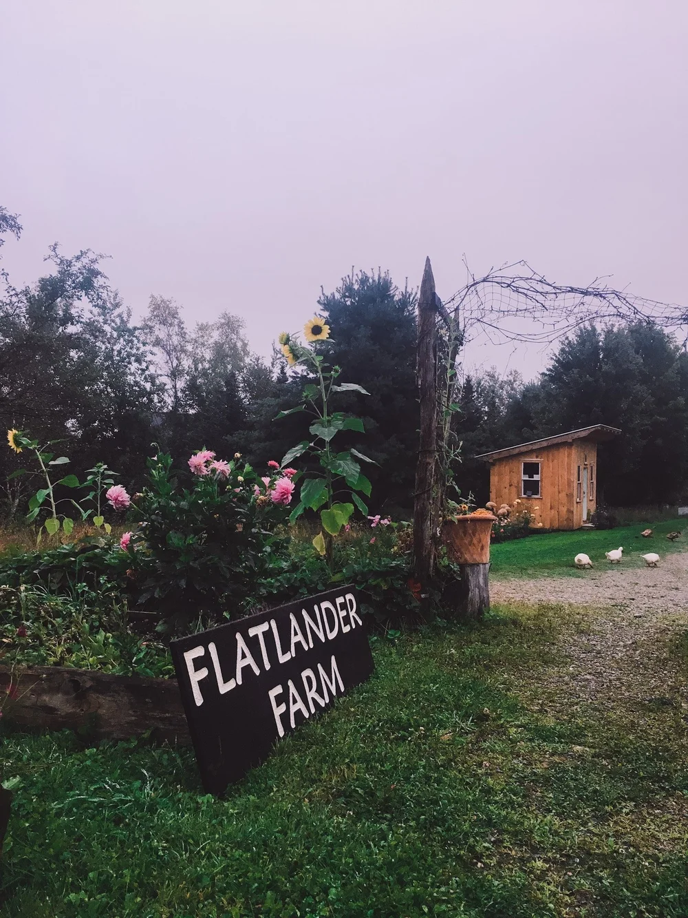 Flatlander Farm