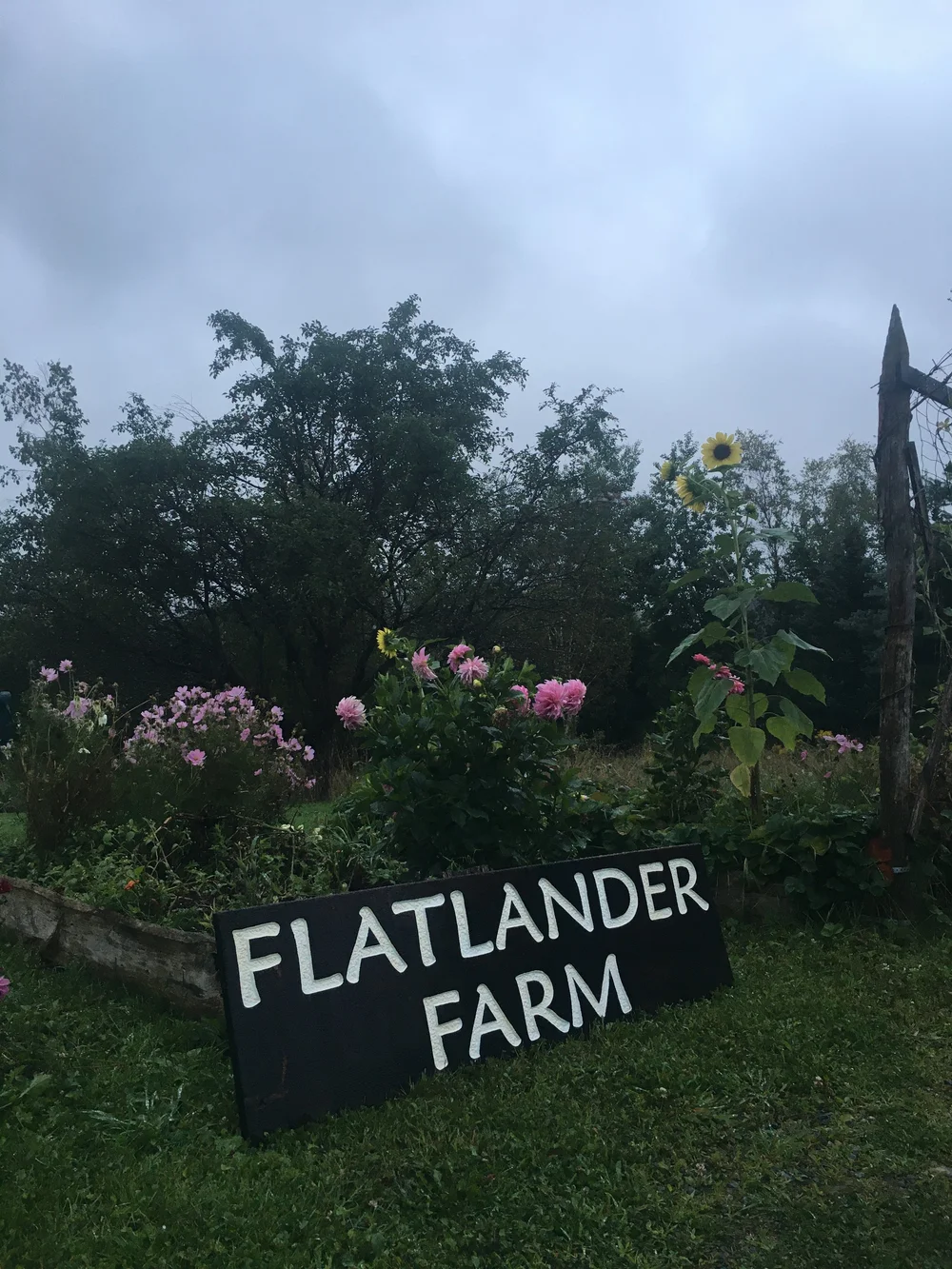 Contact Us — Flatlander Farm