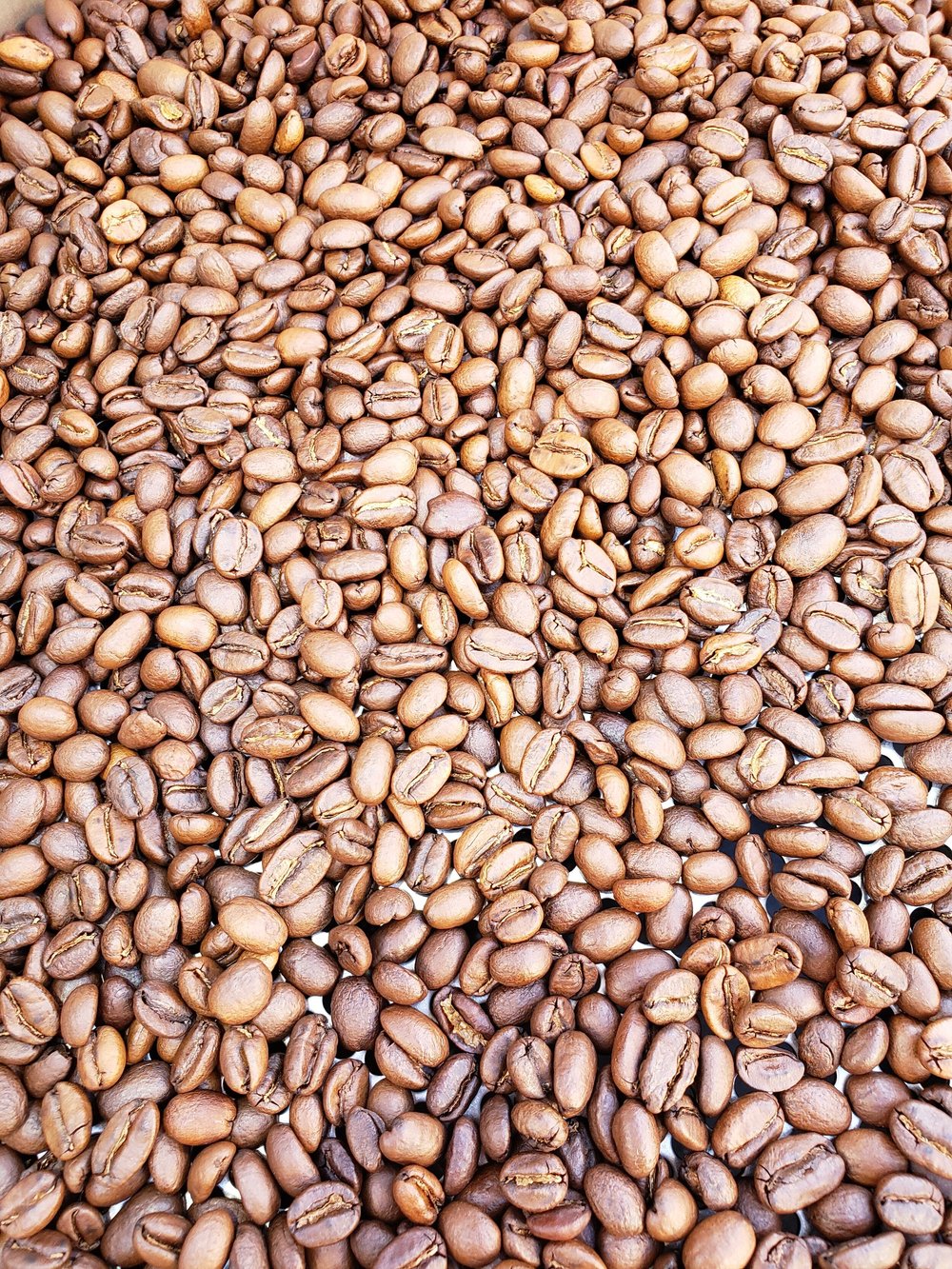 BLACK HOUSE COFFEE COMPANY