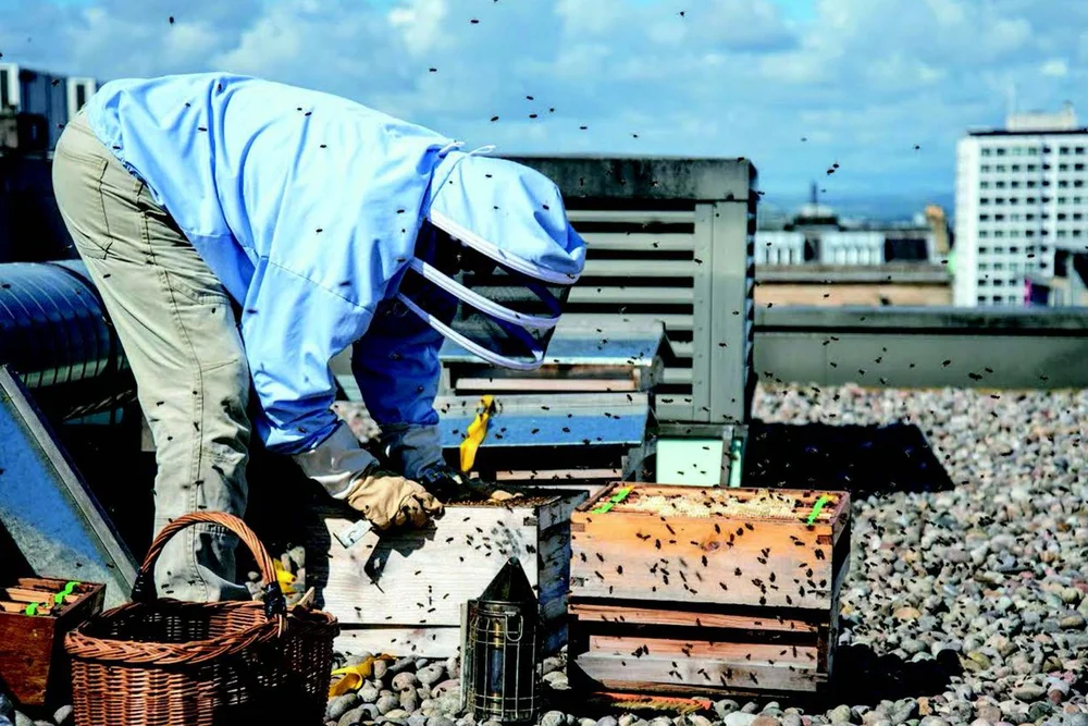 Ed’s bees — Award-winning Scottish food and drink