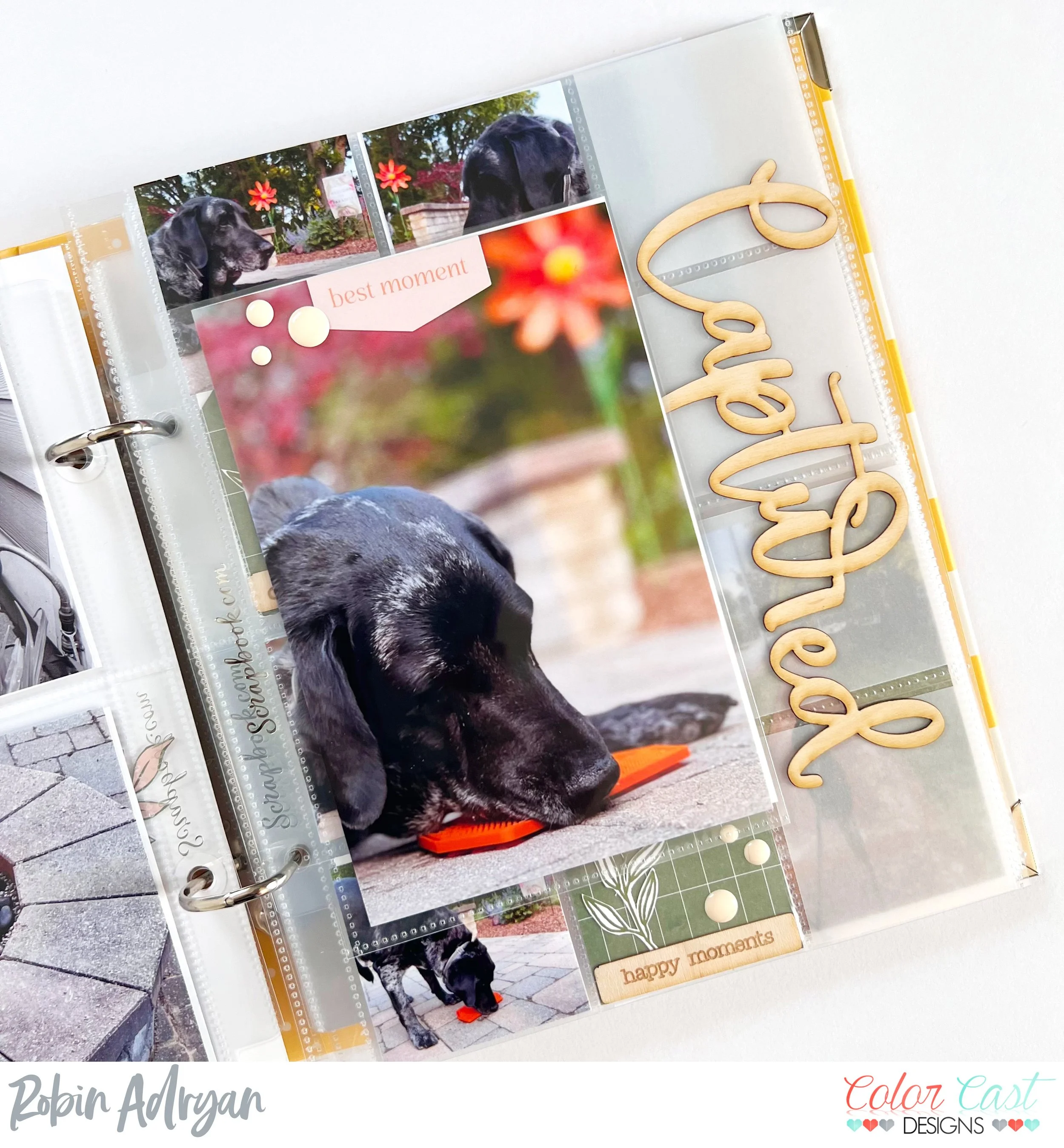 Blog — Color Cast Designs