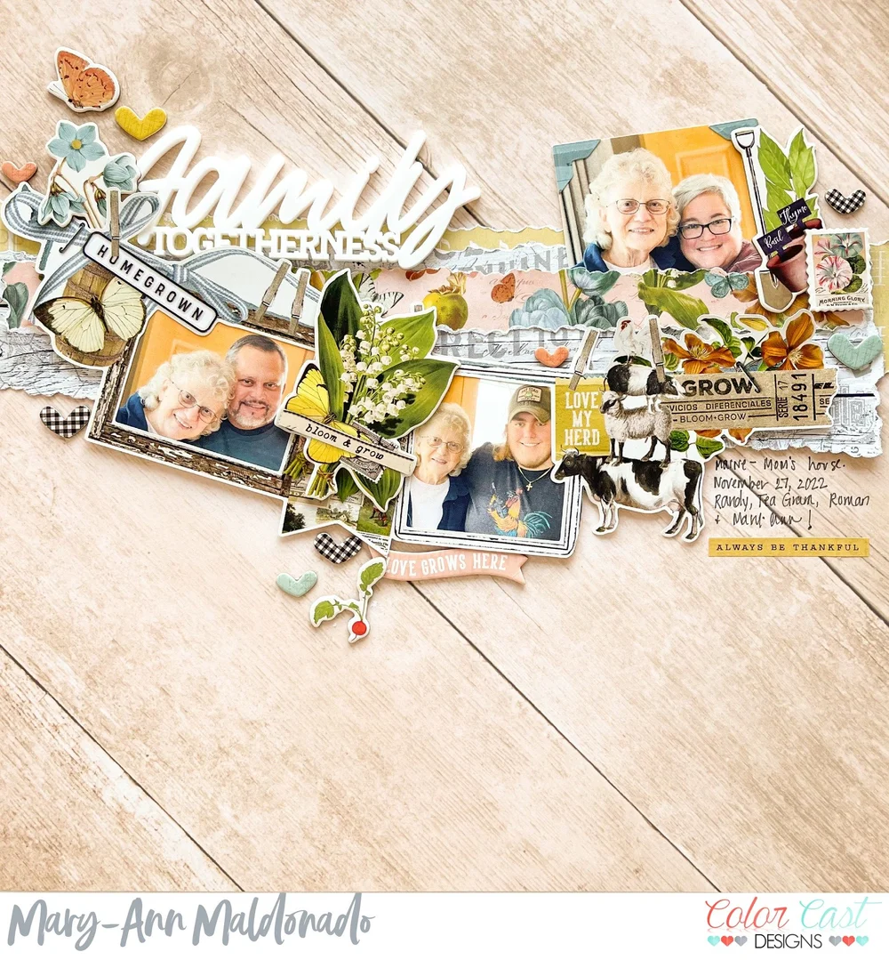 Blog — Color Cast Designs