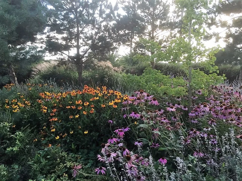 Portfolio — Paul Baines Garden Design