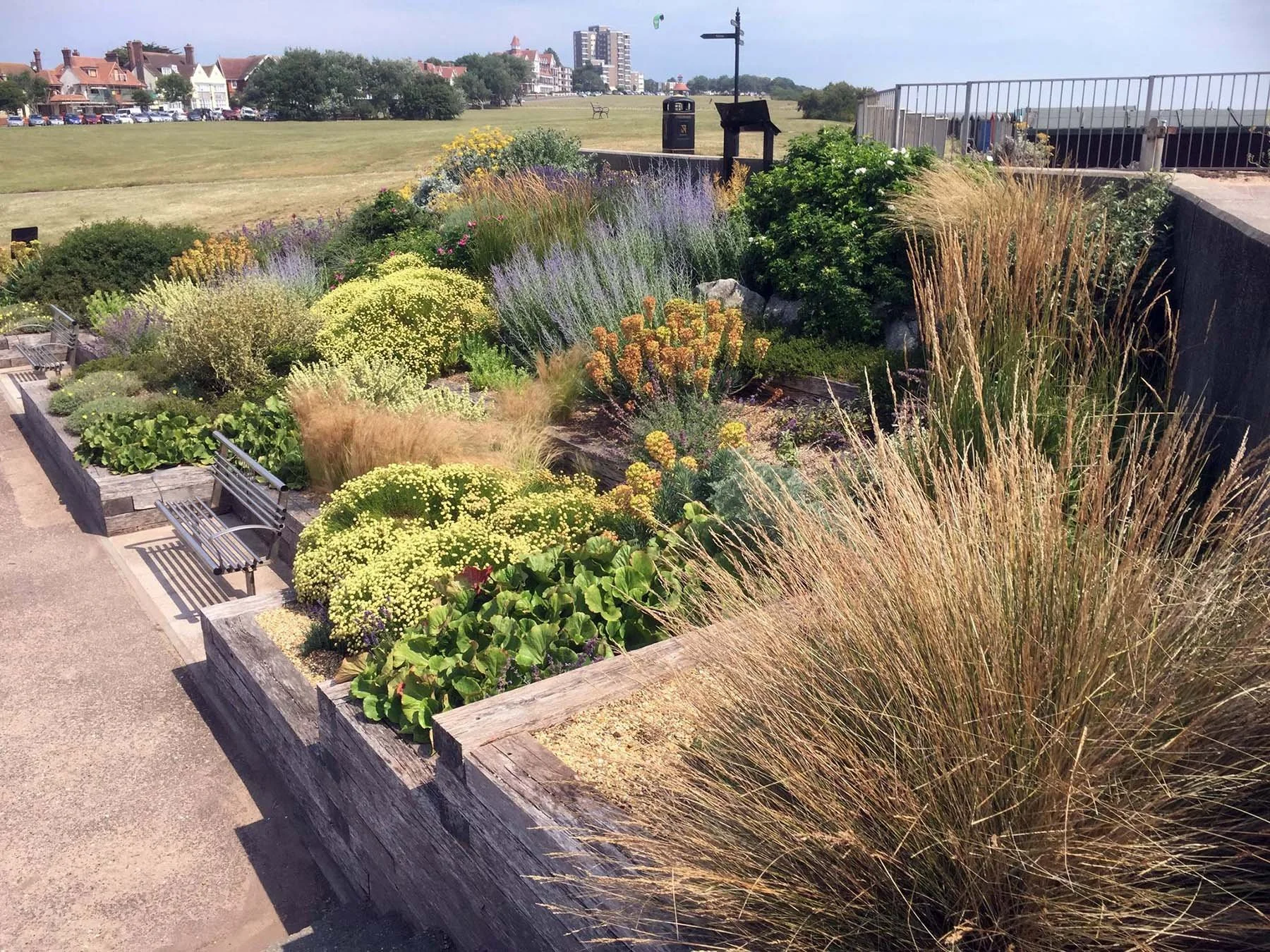 Portfolio — Paul Baines Garden Design
