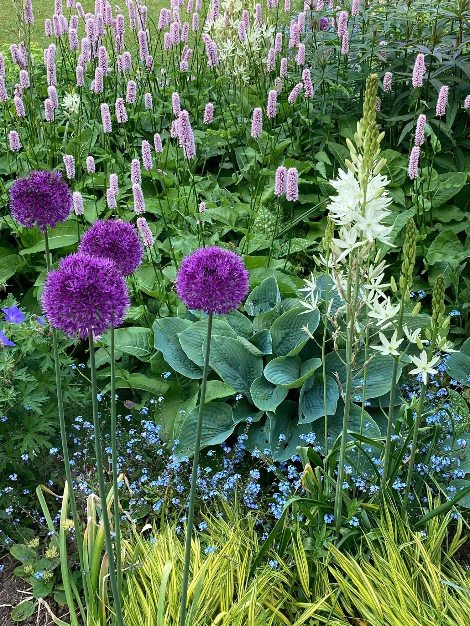 Portfolio — Paul Baines Garden Design