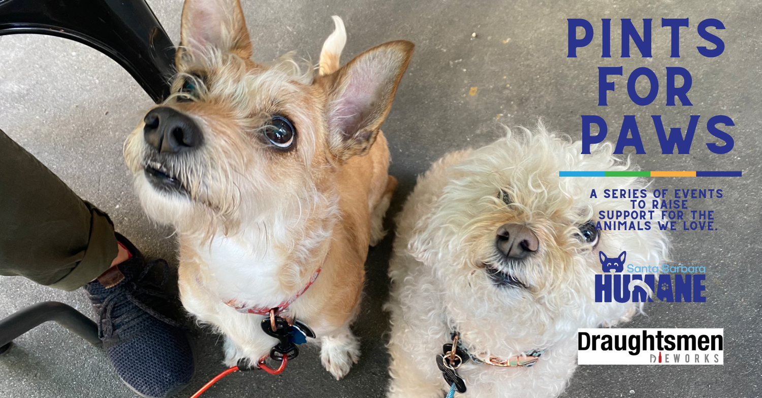 Pints for Paws — Draughtsmen Aleworks