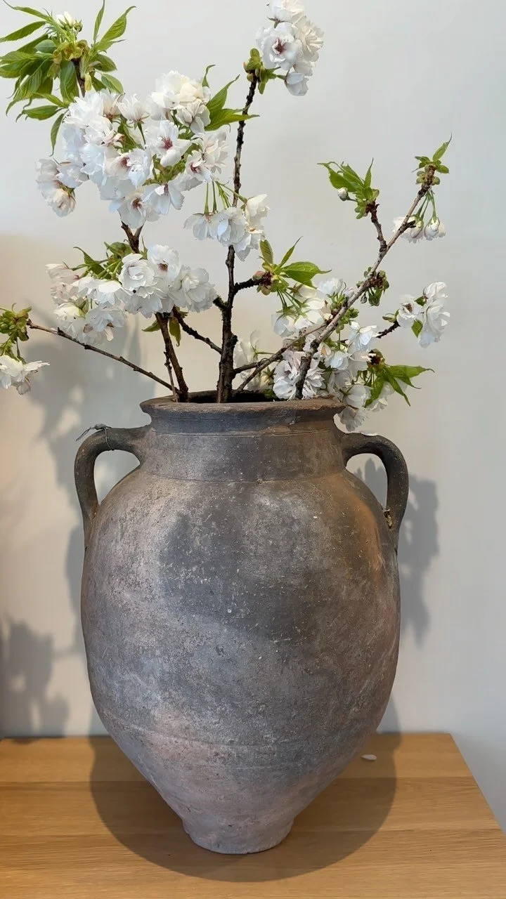 Austin Guide — Sophie Collins