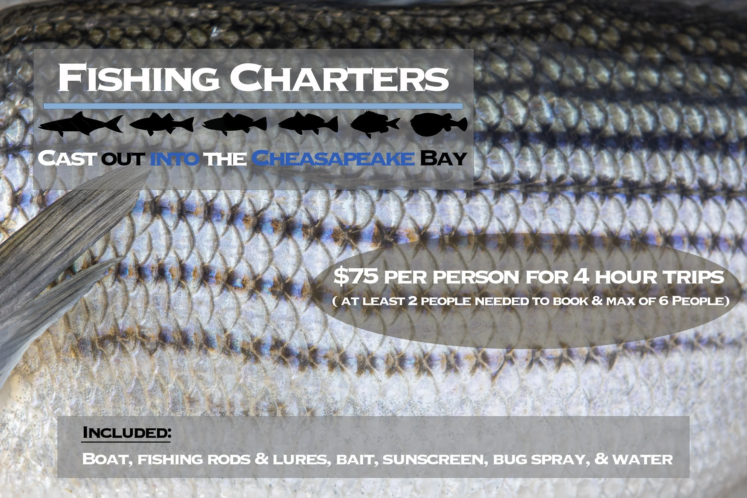 Tangier Island Outfitters — Cameron Evans Photography