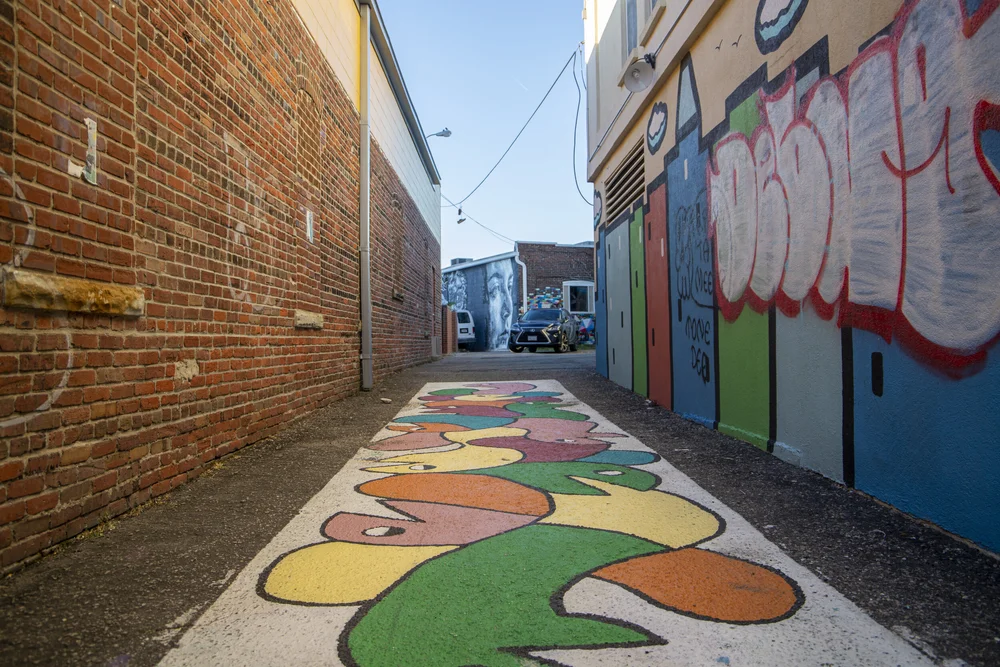 Graffiti Portraits — Cameron Evans Photography