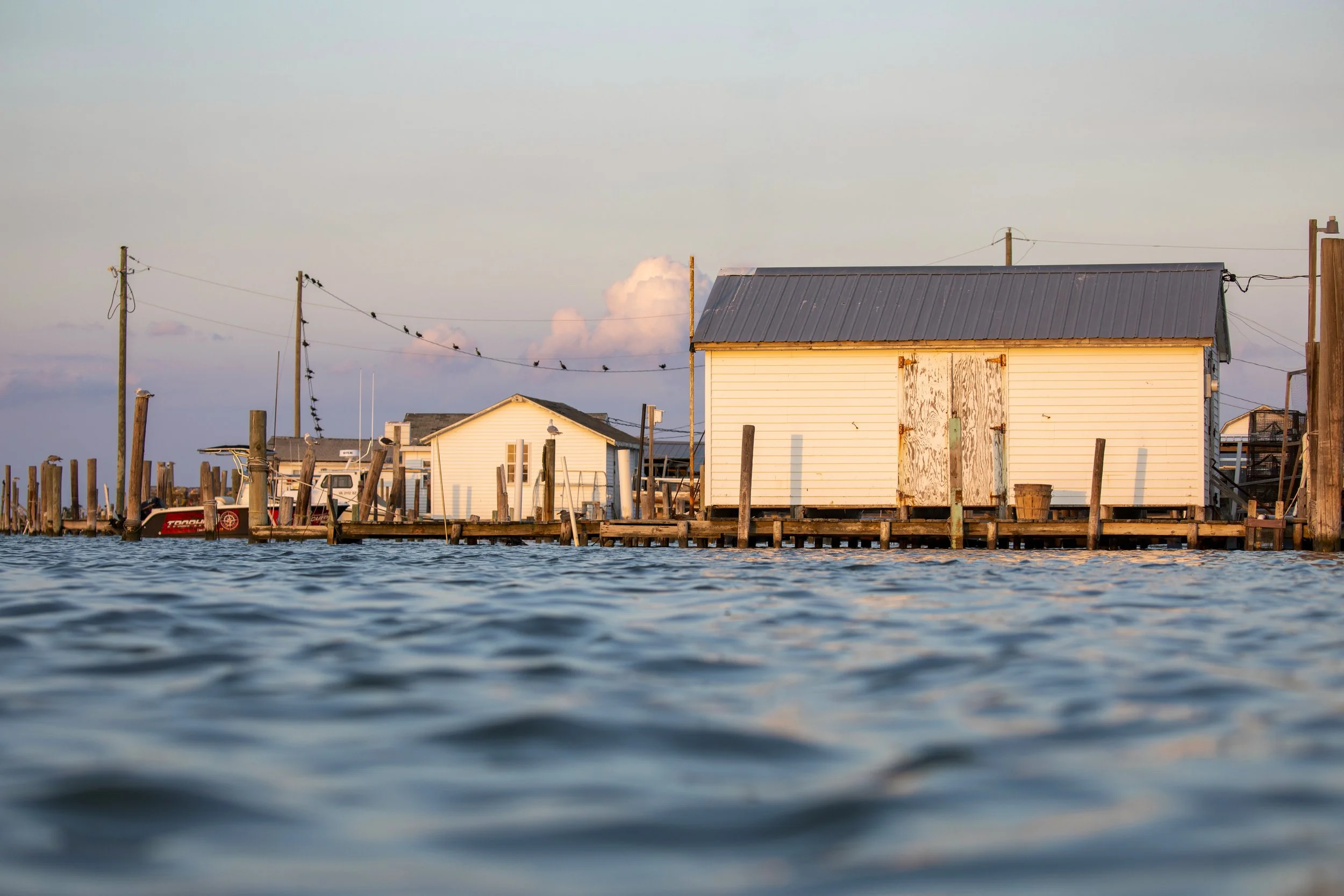 Tangier Island Outfitters — Cameron Evans Photography