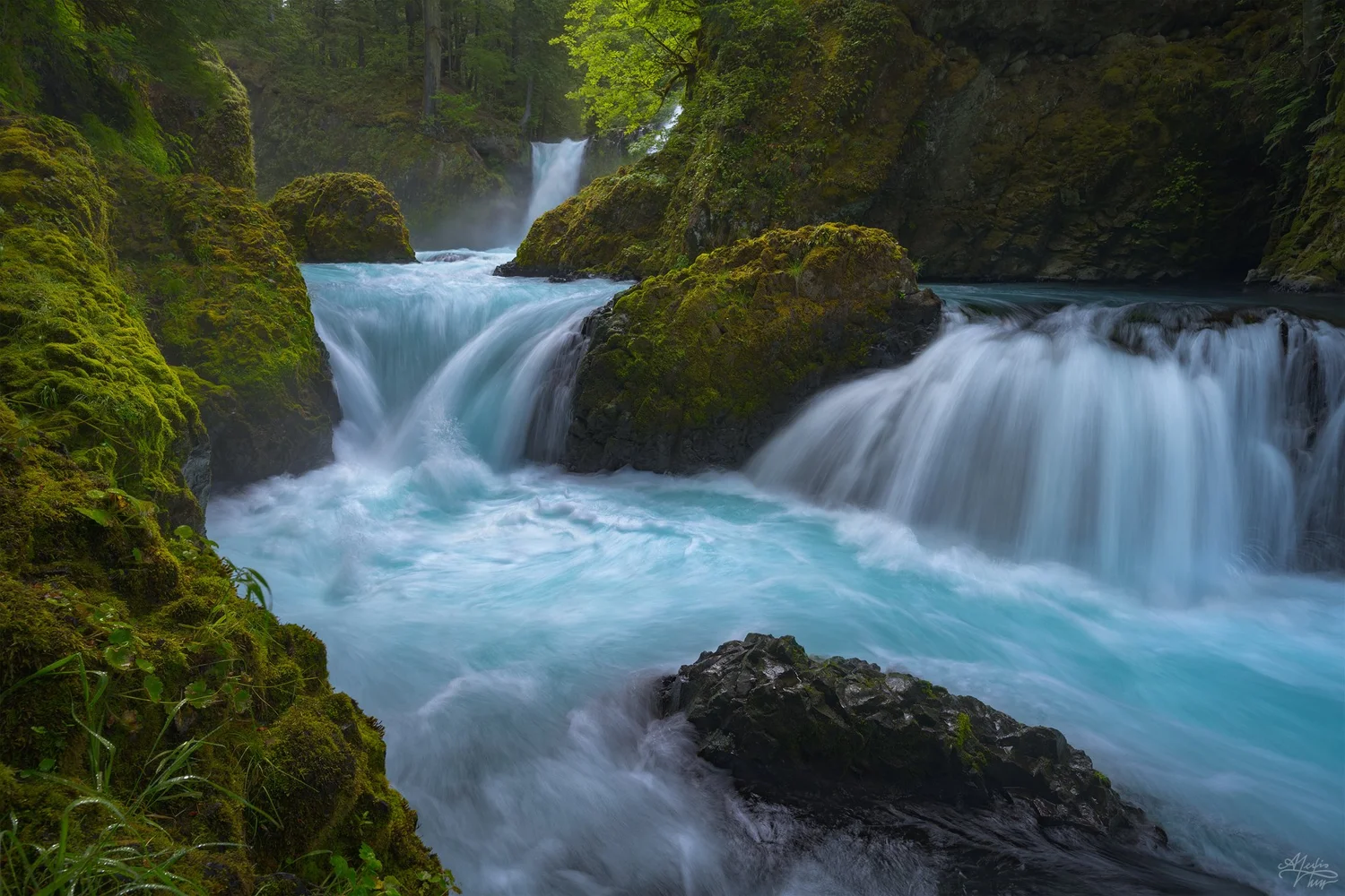 Rapture — Alexis Thompson Photography