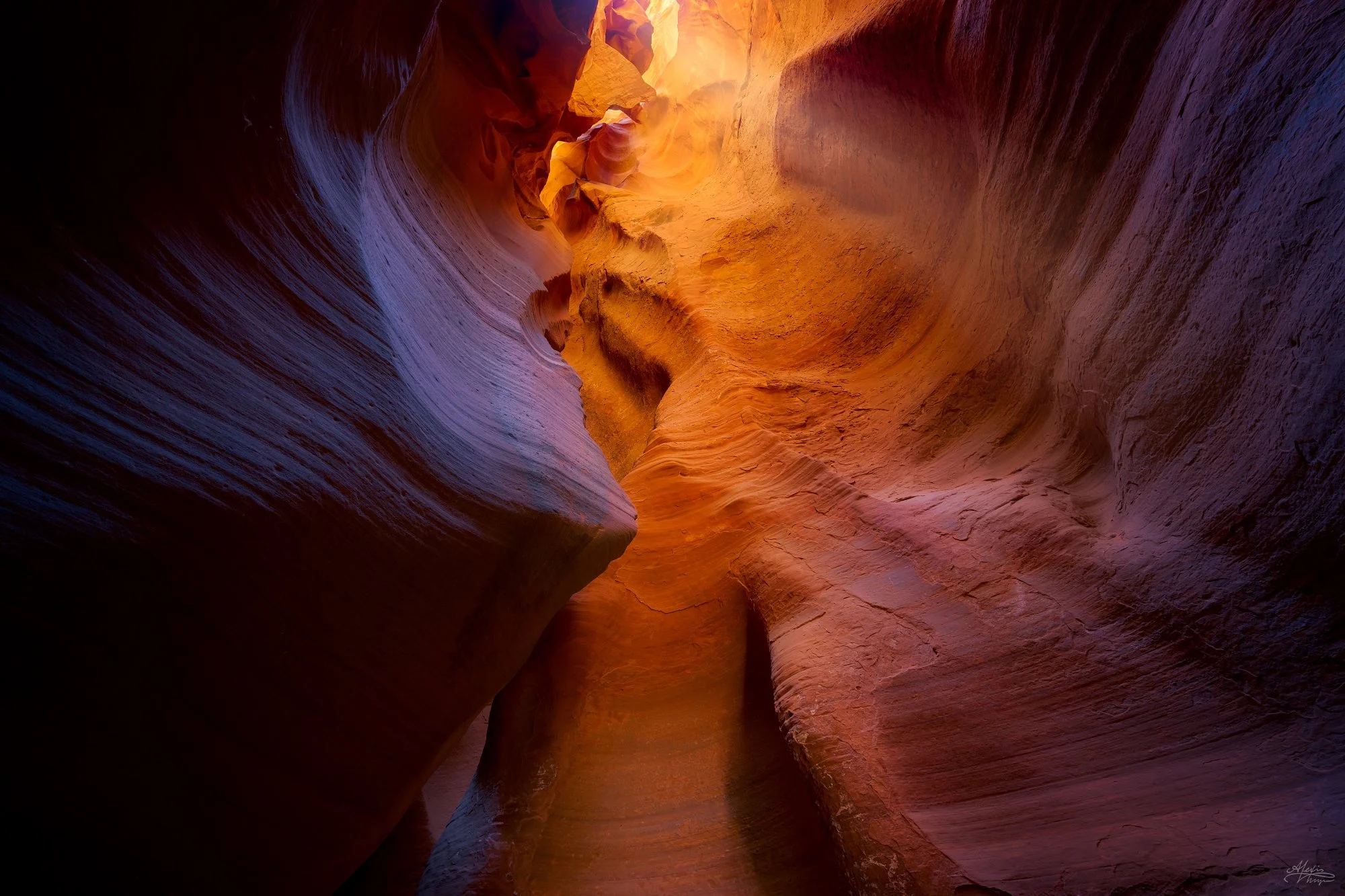 New Releases — Alexis Thompson Photography