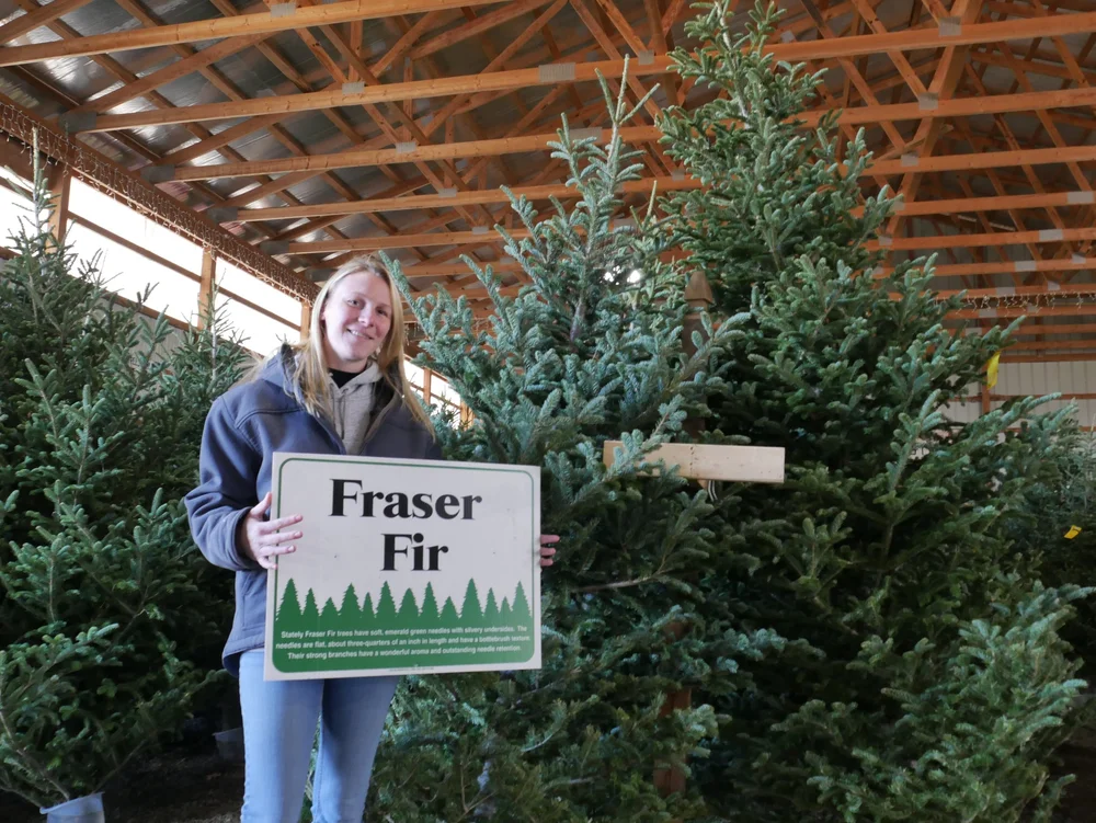 Gallery — DeLong Christmas Tree Farm