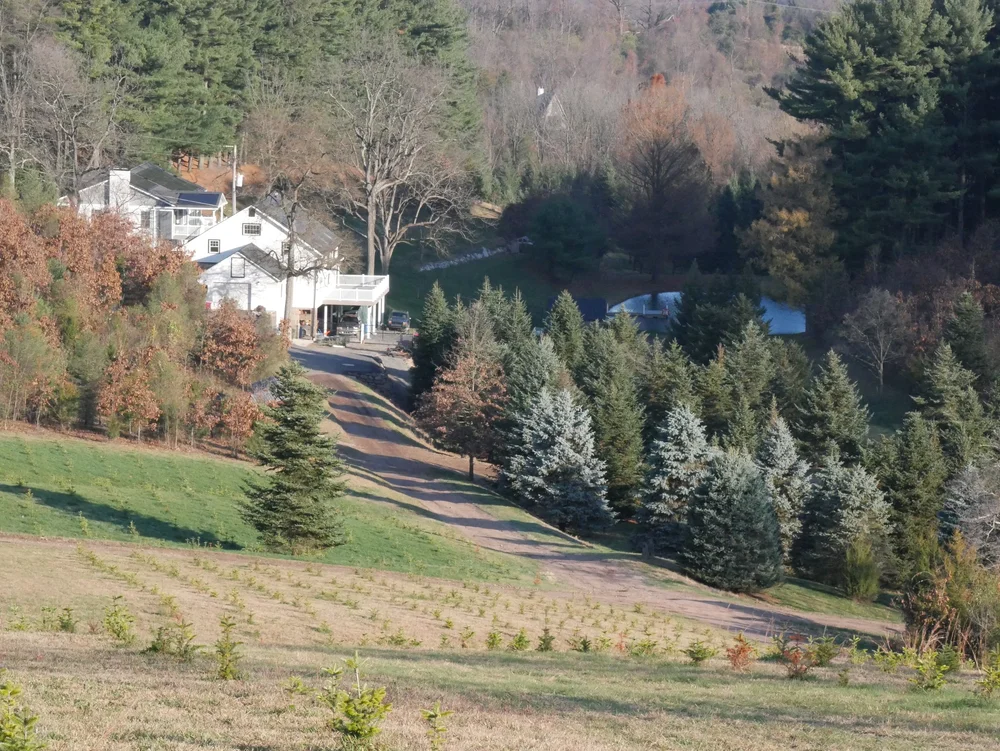 DeLong Christmas Tree Farm