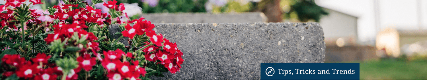 School Curb Appeal: How Can I Improve My School’s Curb Appeal? — HINGE ...