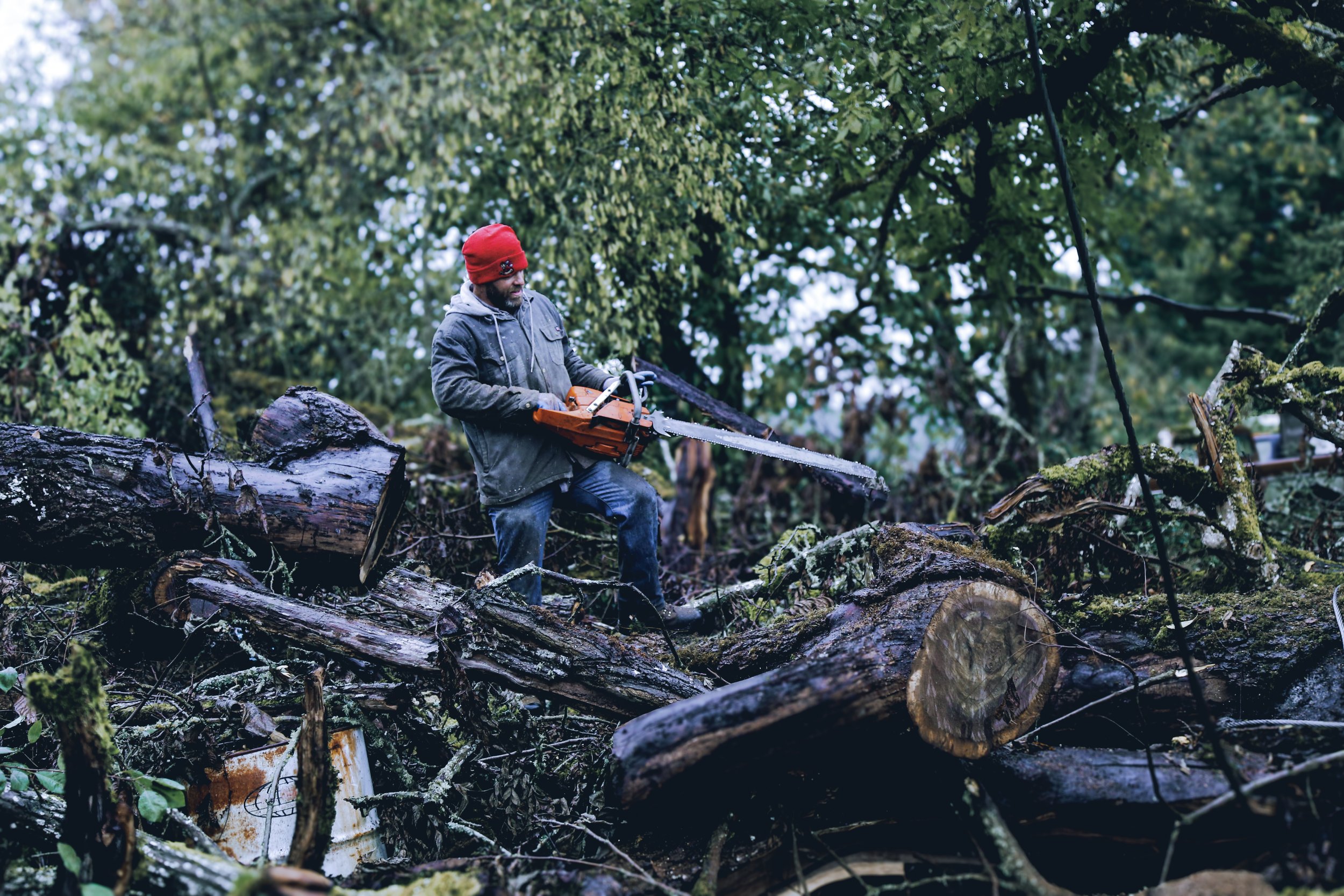The Environmental Impact of Fast Furniture — Urban Hardwoods