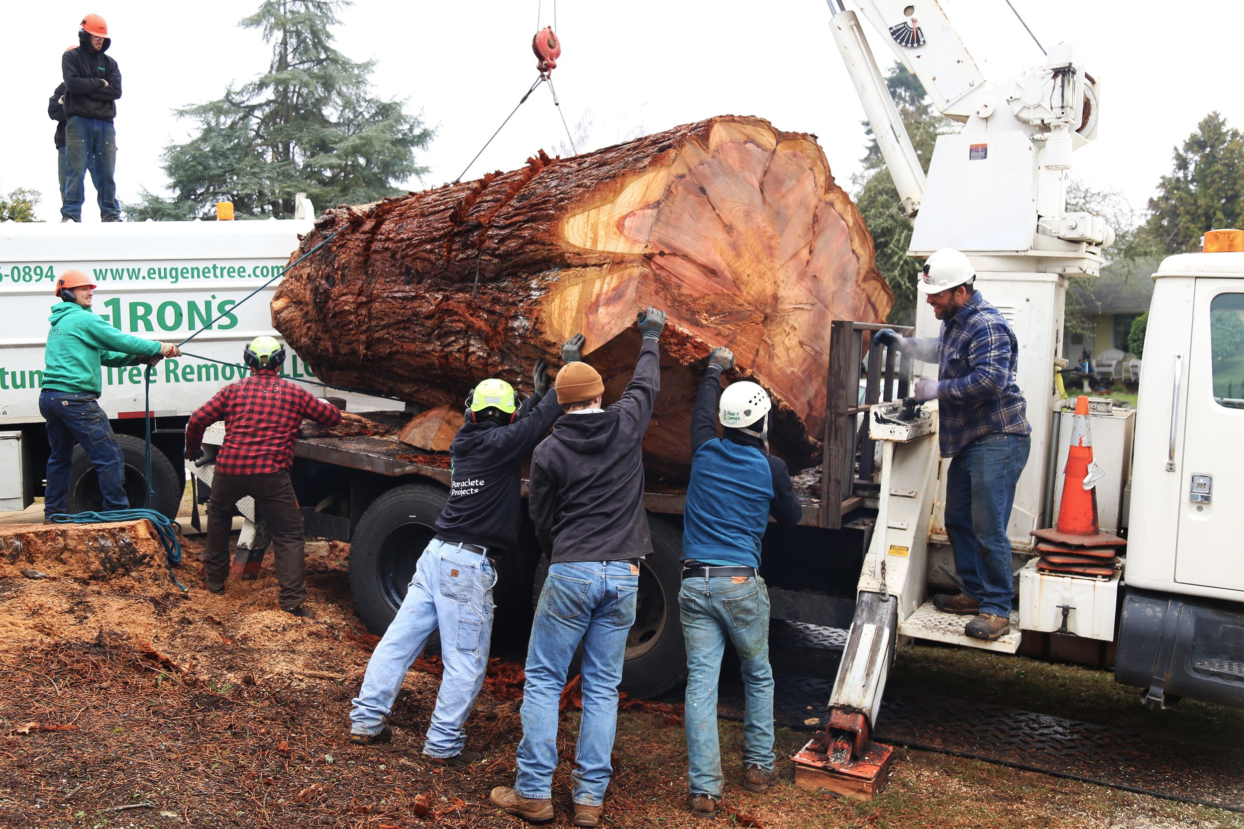 The Environmental Impact of Fast Furniture — Urban Hardwoods