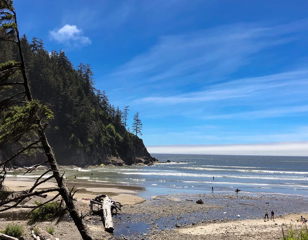 WPFF Live Rosin Shorty - vape pen — Sand Castle Hash Co.