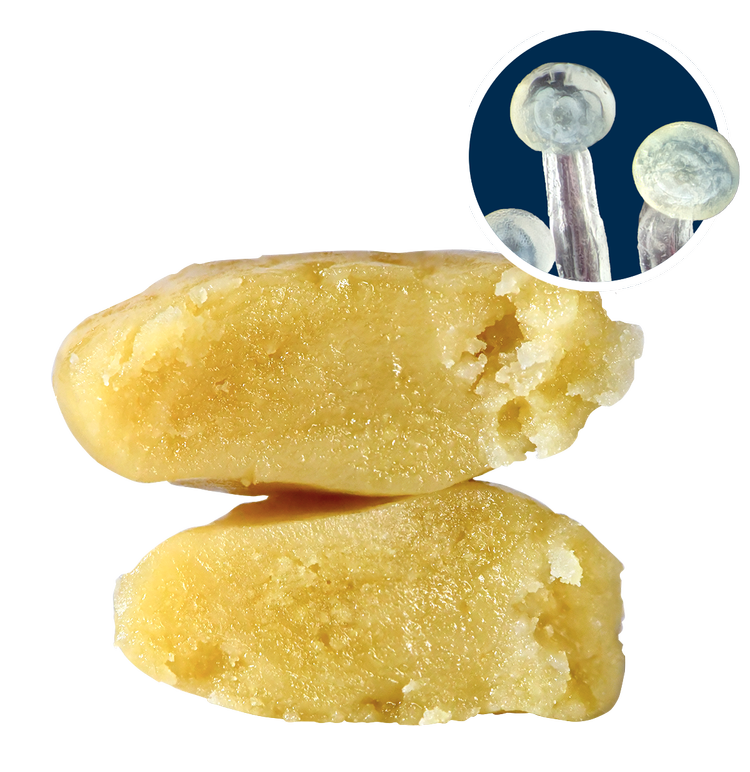 WPFF Live Rosin — Sand Castle Hash Co.
