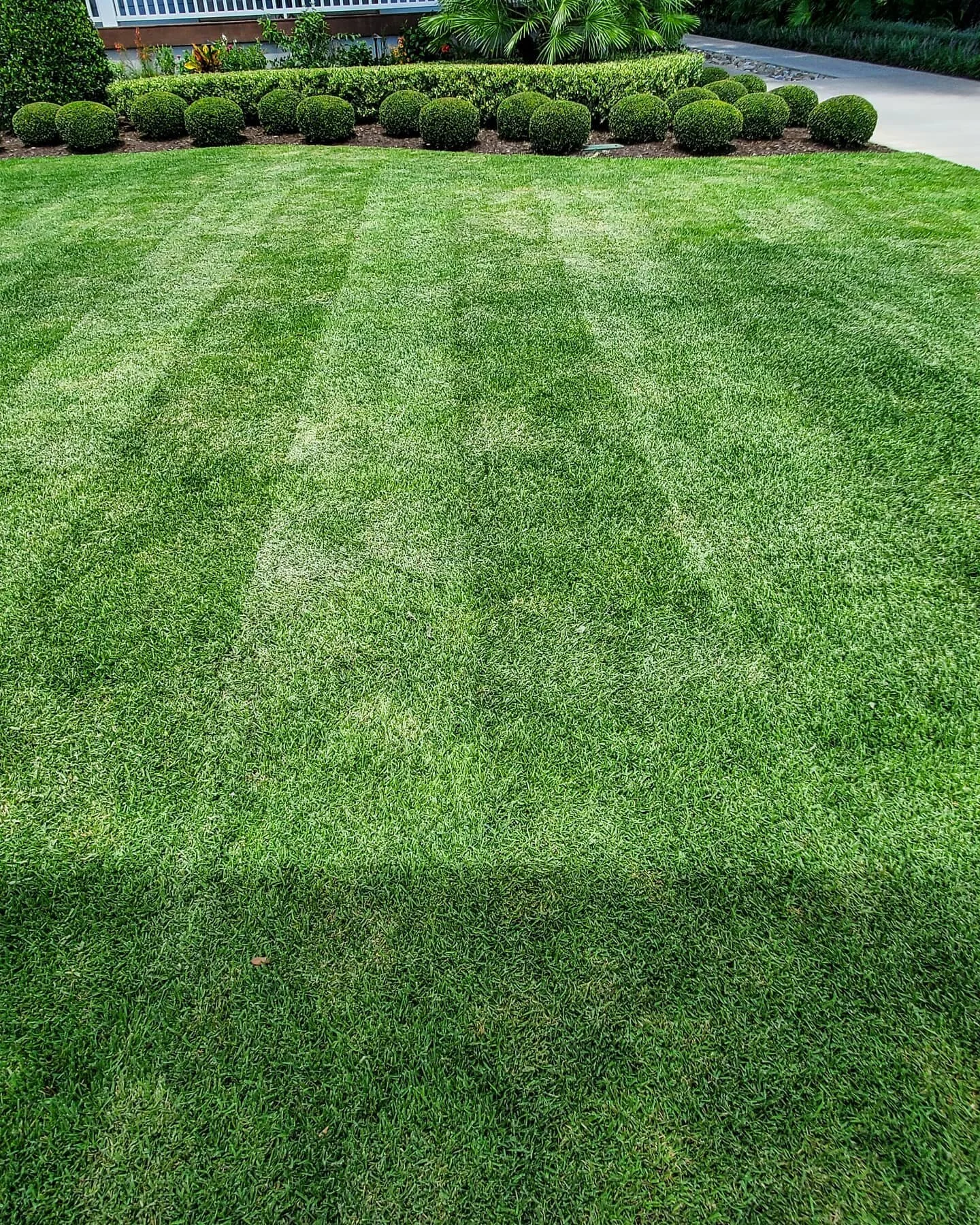 Platinum Lawn Solutions | Fertilization and Landscaping Services