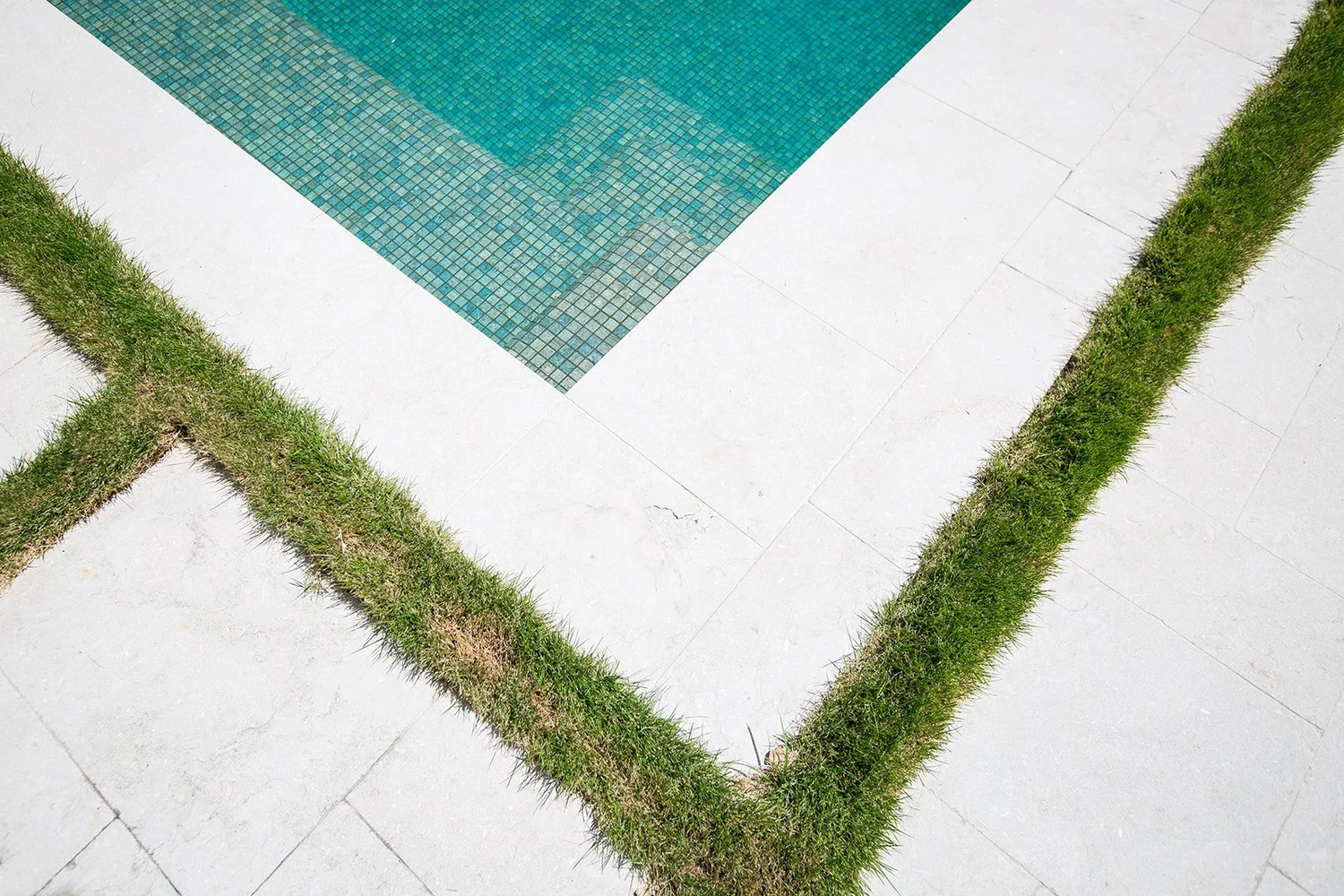 Project Shaw — Cronulla Pools