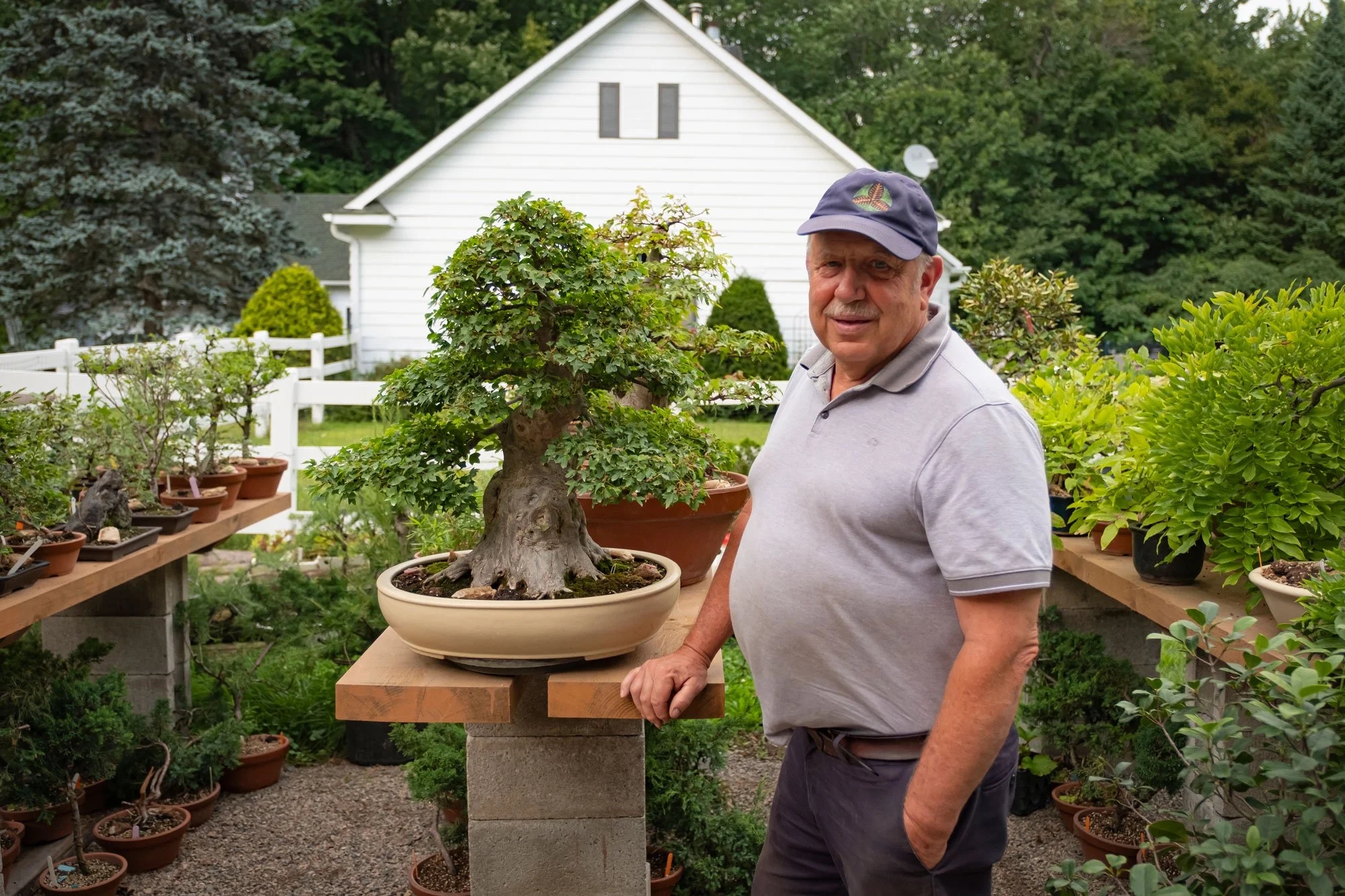 2022 FALL EXHIBITION & SALE — Toronto Bonsai Society